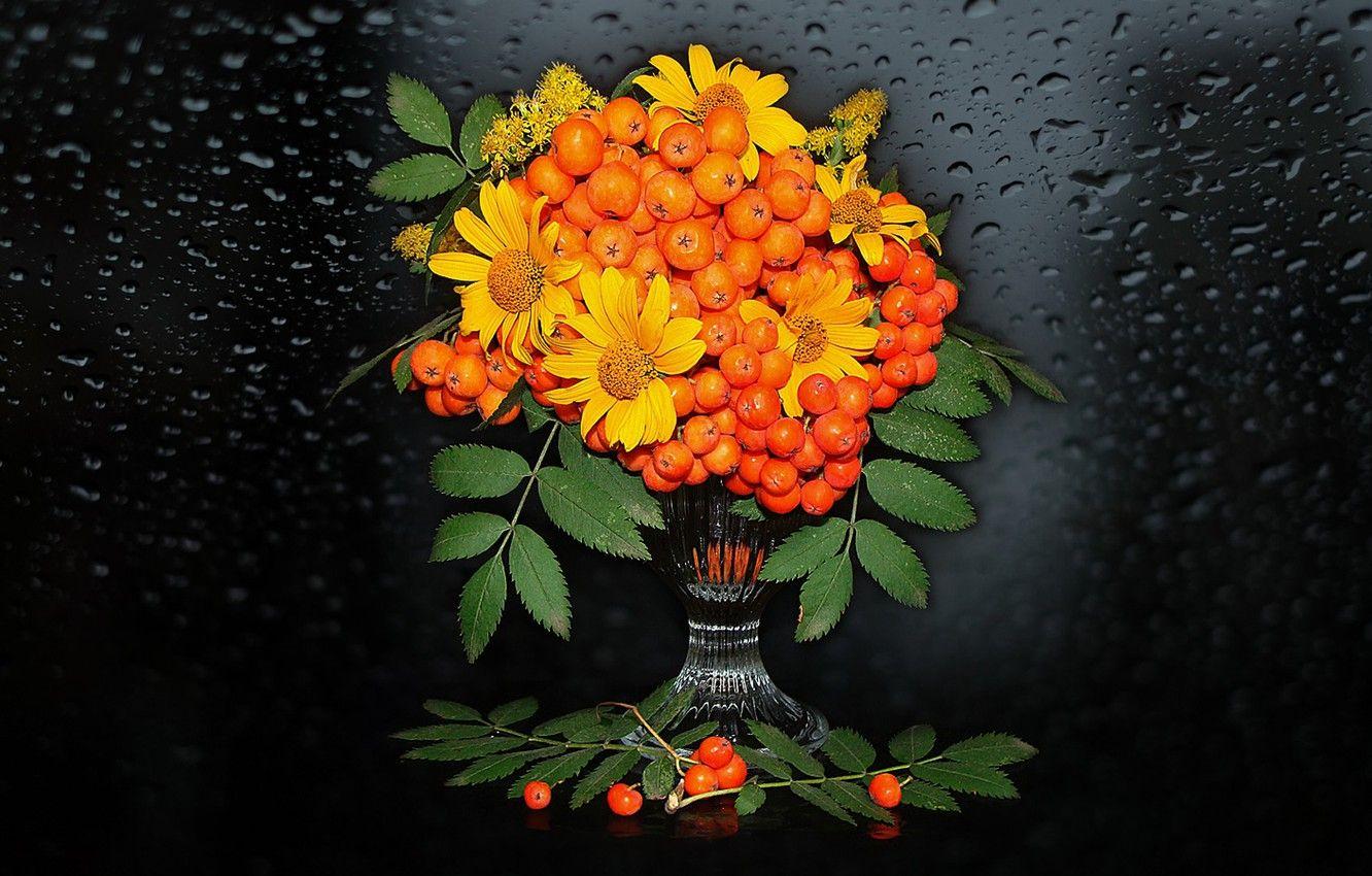 Nice Photography Wallpapers - Top Free Nice Photography Backgrounds ...