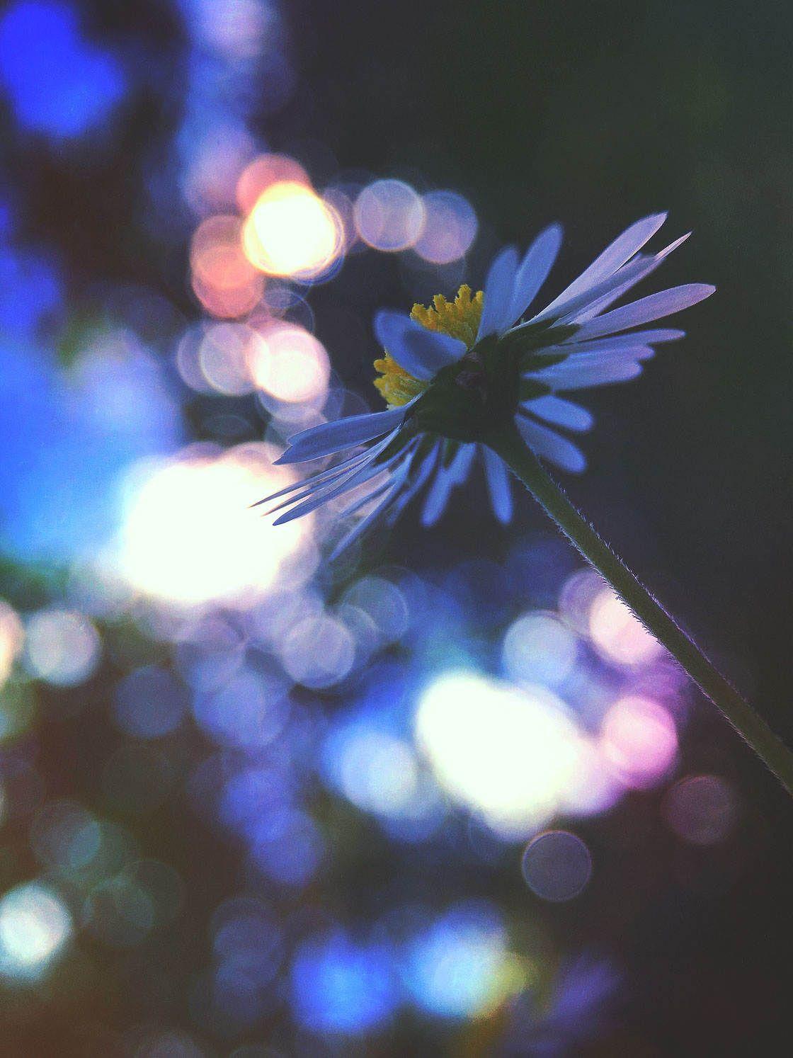 Nice Photography Wallpapers - Top Free Nice Photography Backgrounds ...