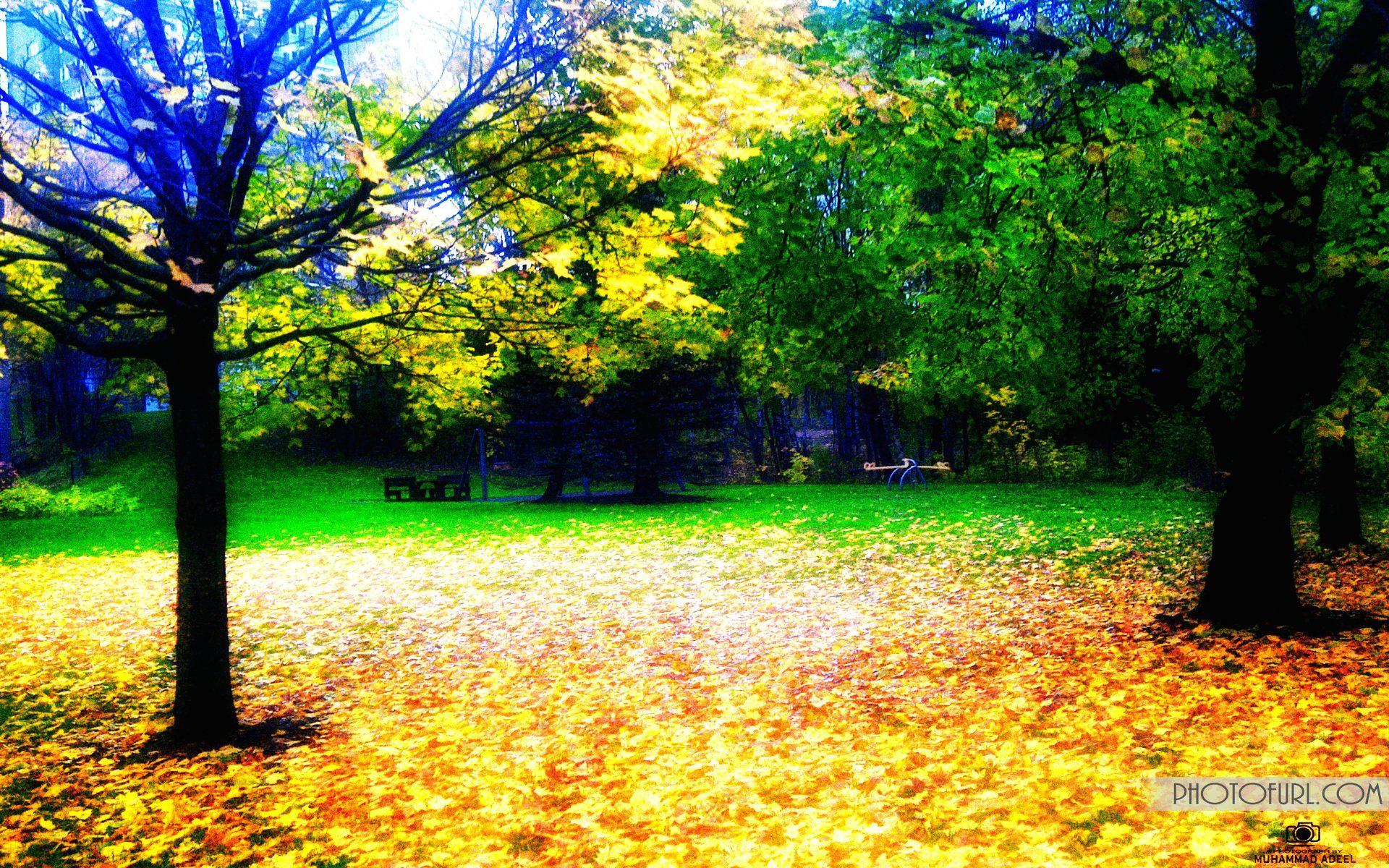 Nice Photography Wallpapers - Top Free Nice Photography Backgrounds ...