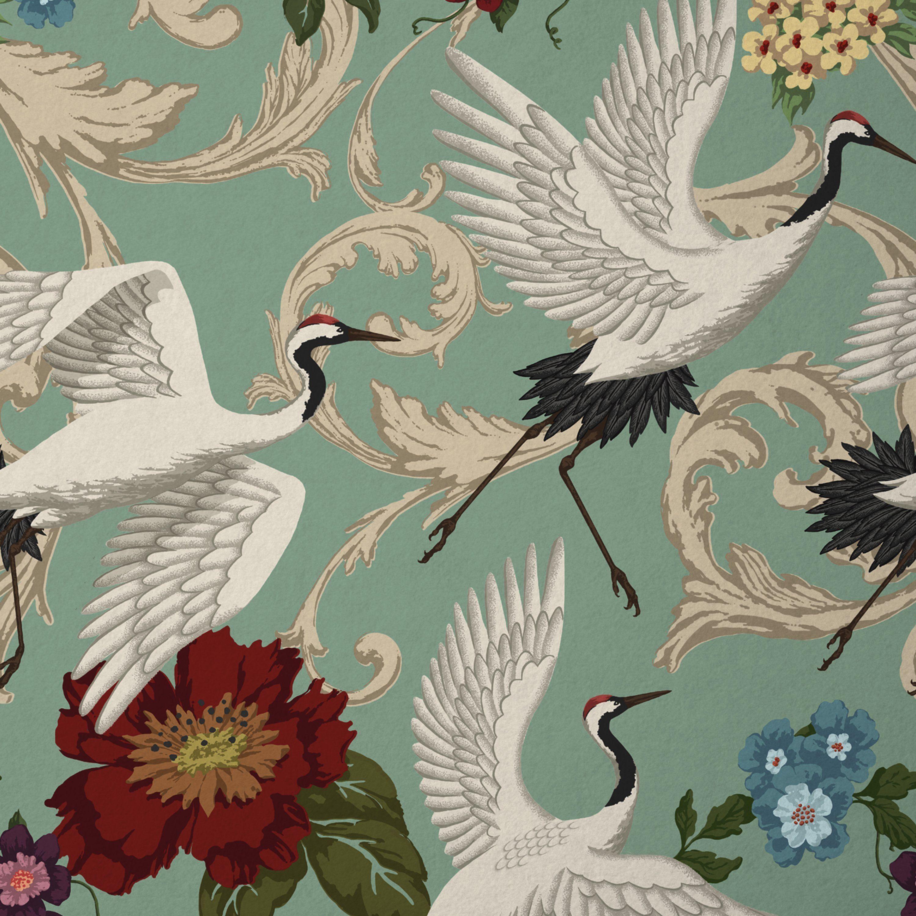 Crane Bird Wallpapers - Top Free Crane Bird Backgrounds - WallpaperAccess