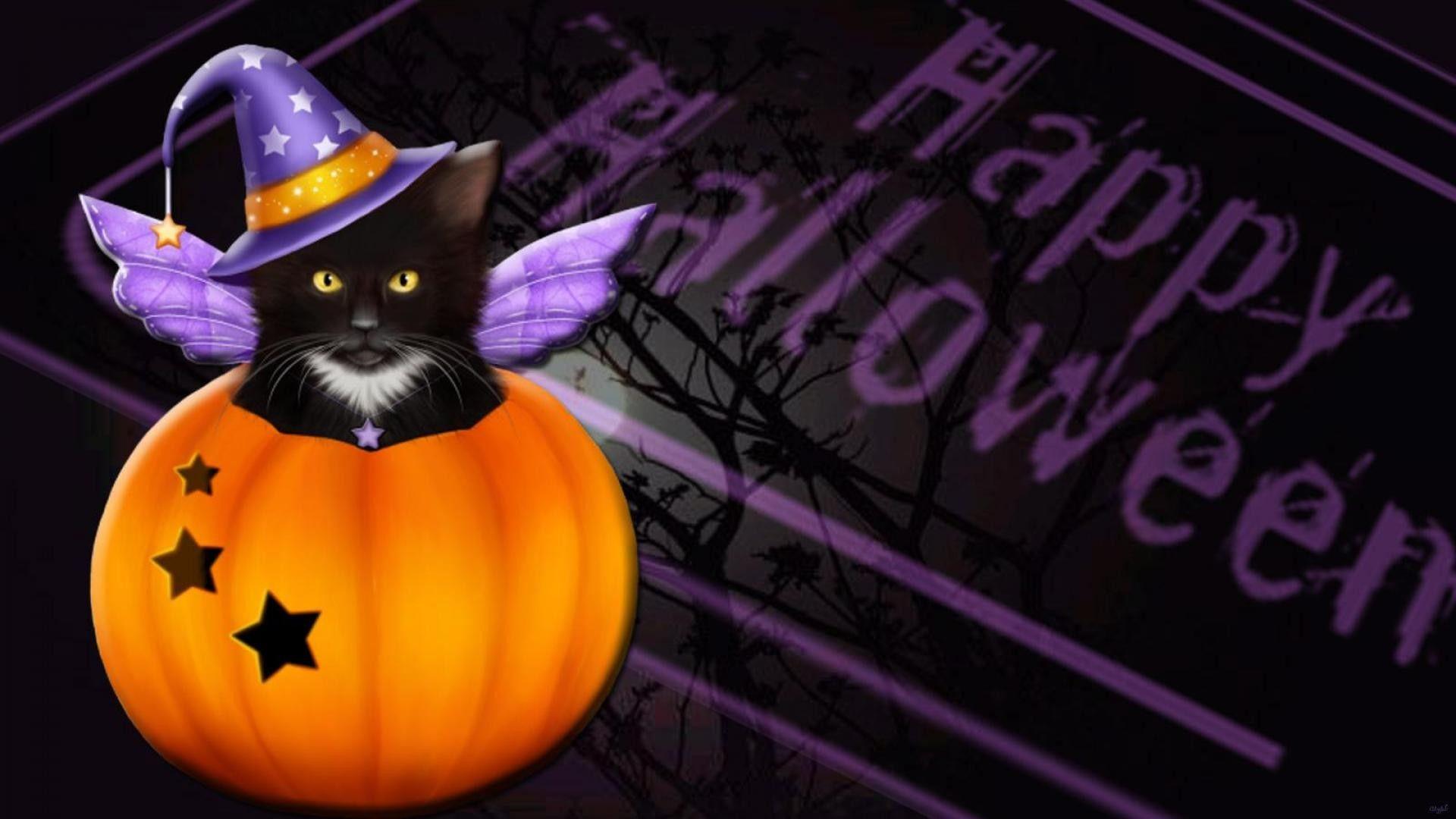 Halloween Cat Wallpapers - Top Free Halloween Cat Backgrounds ...