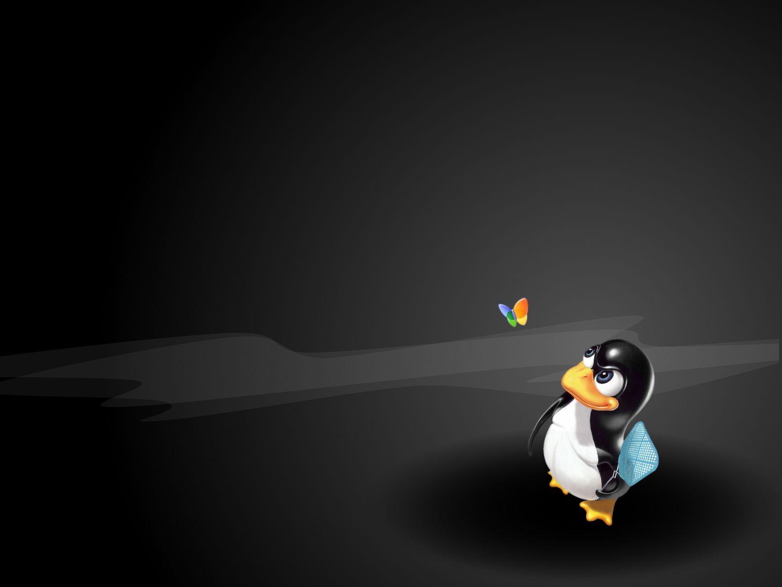 Linux Tux Wallpapers - Top Free Linux Tux Backgrounds - WallpaperAccess