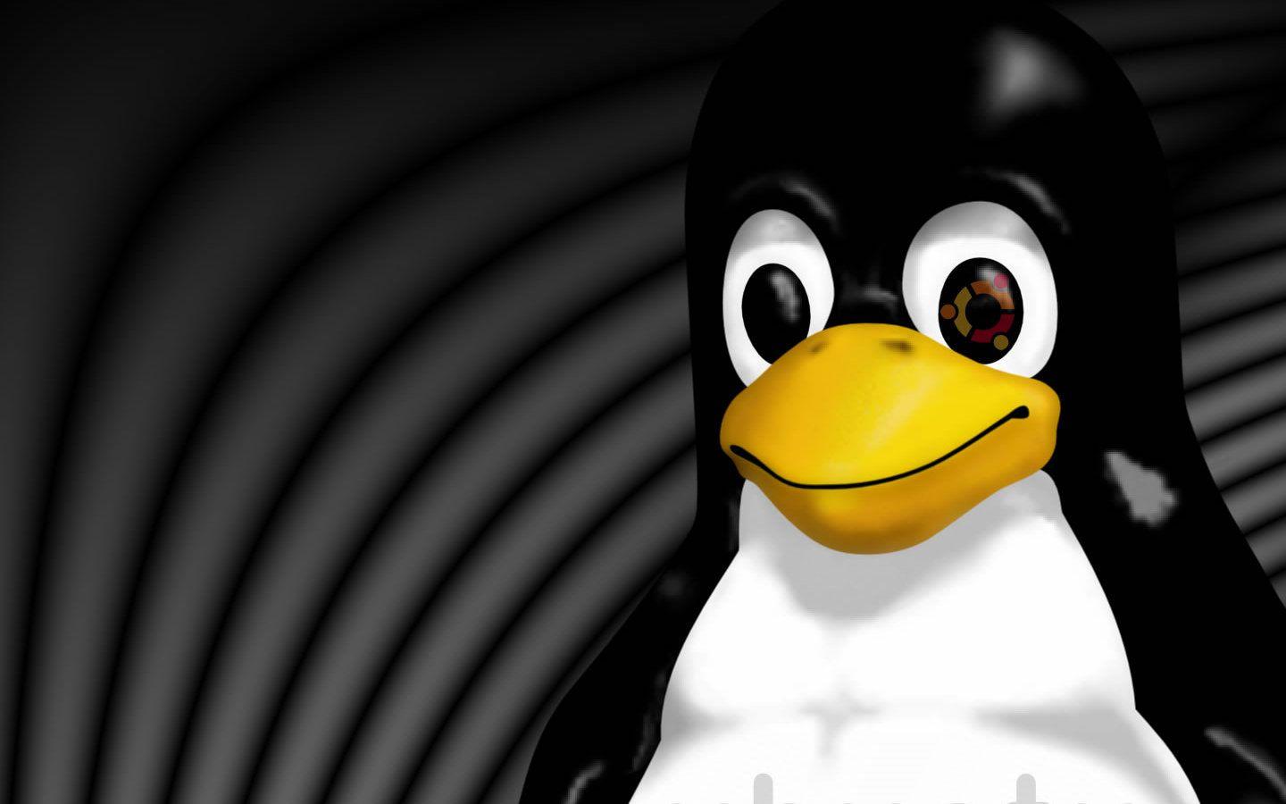 Linux Tux Wallpapers - Top Free Linux Tux Backgrounds - WallpaperAccess