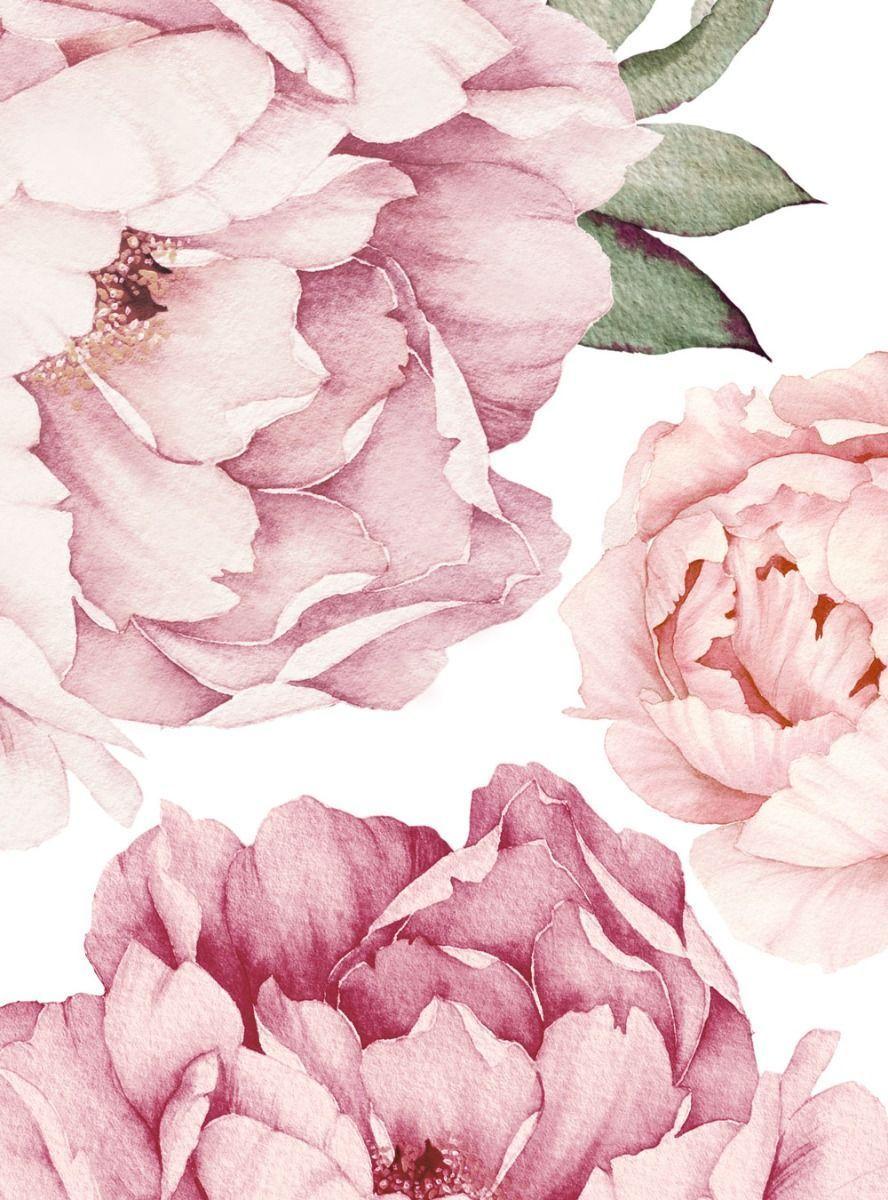 Watercolor Peony Wallpapers - Top Free Watercolor Peony Backgrounds ...