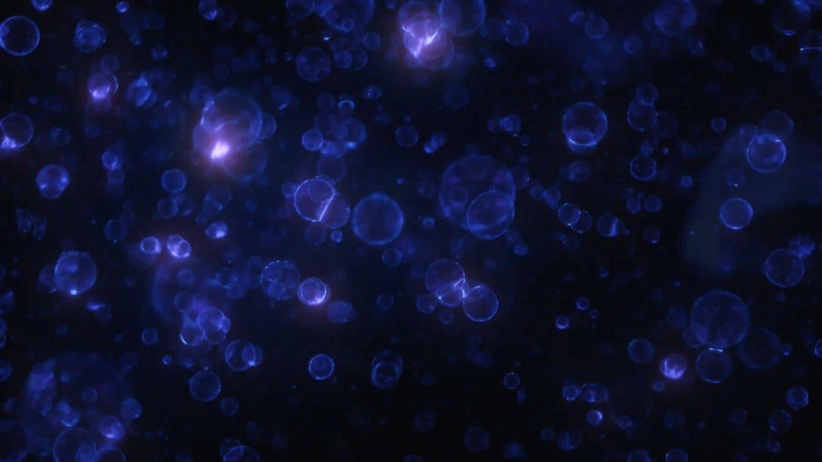 Animal Collective Wallpapers - Top Free Animal Collective Backgrounds ...