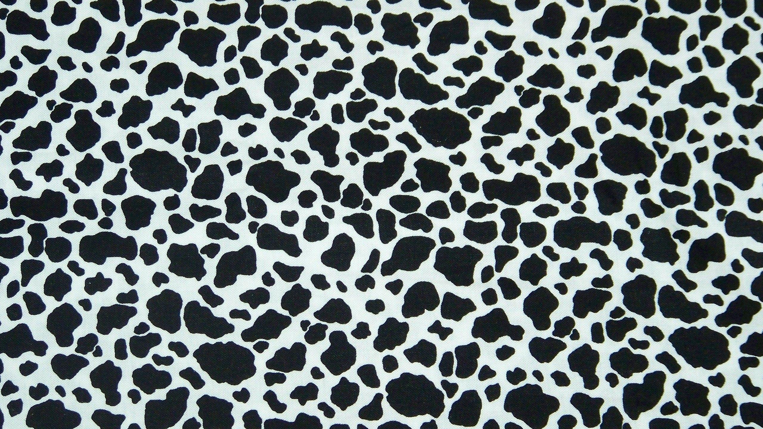 Cow Pattern Wallpapers - Top Free Cow Pattern Backgrounds - WallpaperAccess