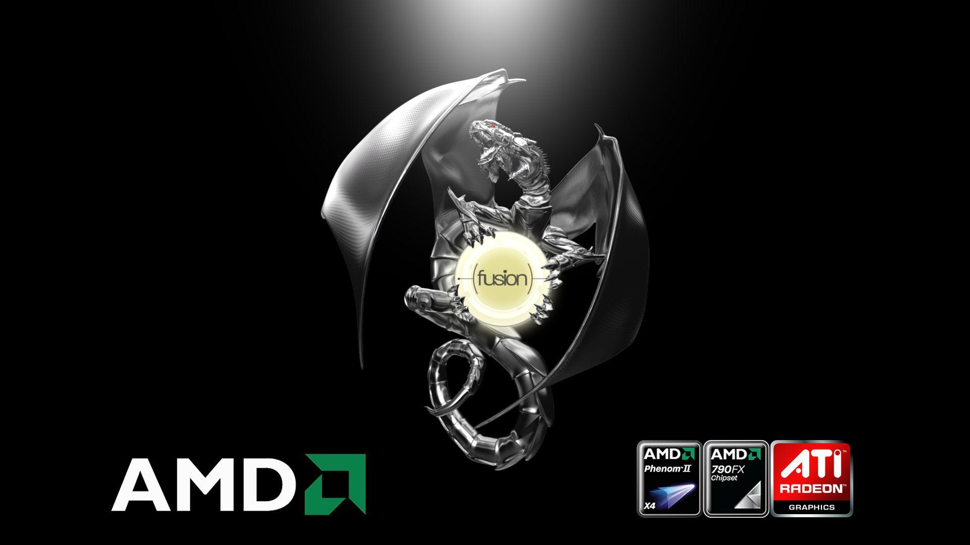 AMD Dragon Wallpapers - Top Free AMD Dragon Backgrounds - WallpaperAccess