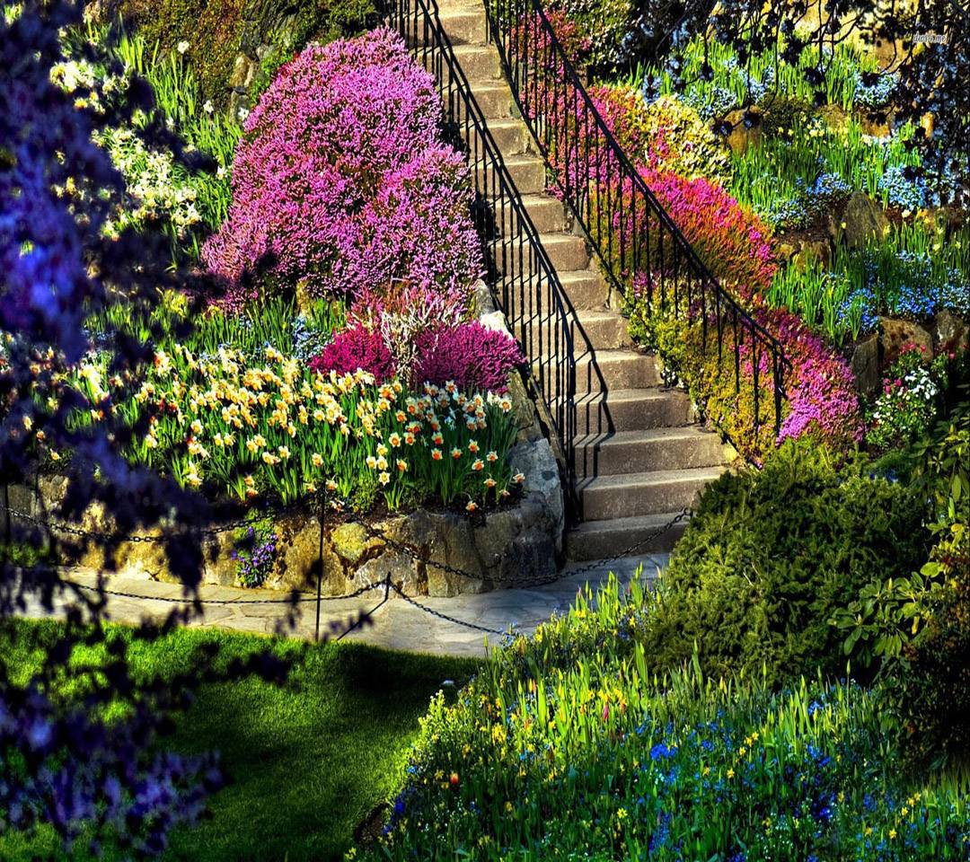 Colorful Garden Wallpapers - Top Free Colorful Garden Backgrounds ...