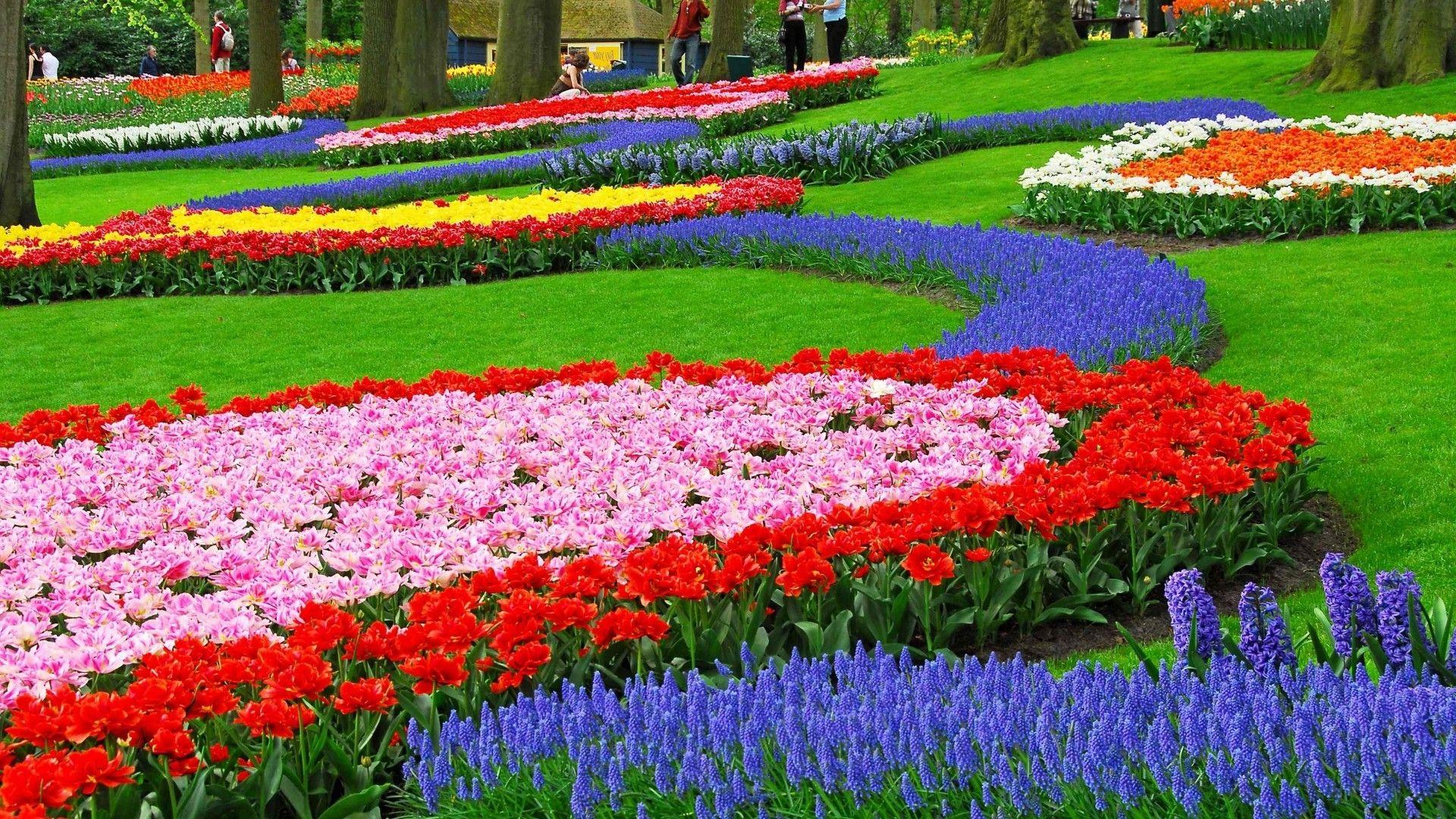 Colorful Garden Wallpapers - Top Free Colorful Garden Backgrounds ...