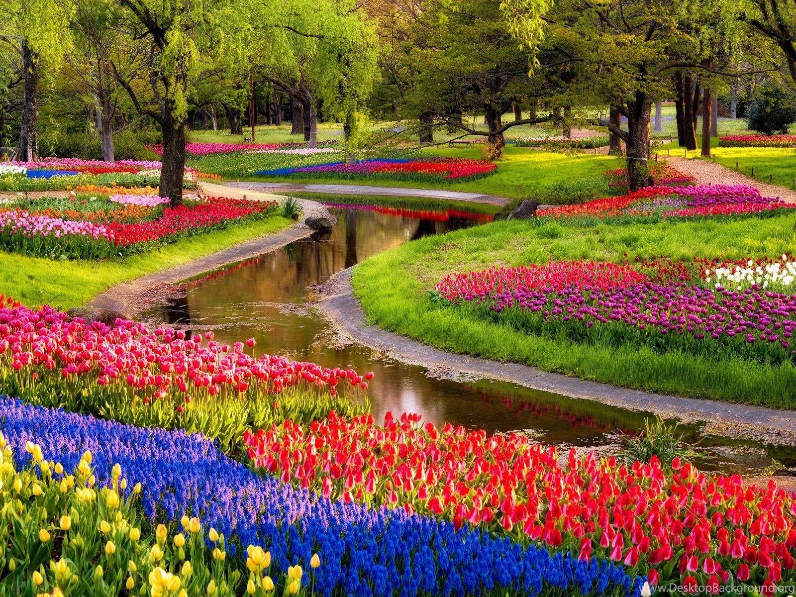 Colorful Garden Wallpapers - Top Free Colorful Garden Backgrounds ...
