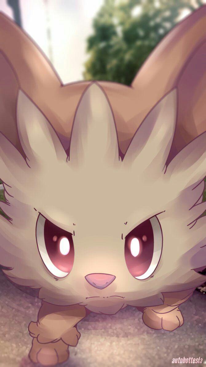 Lillipup Wallpapers - Top Free Lillipup Backgrounds - WallpaperAccess