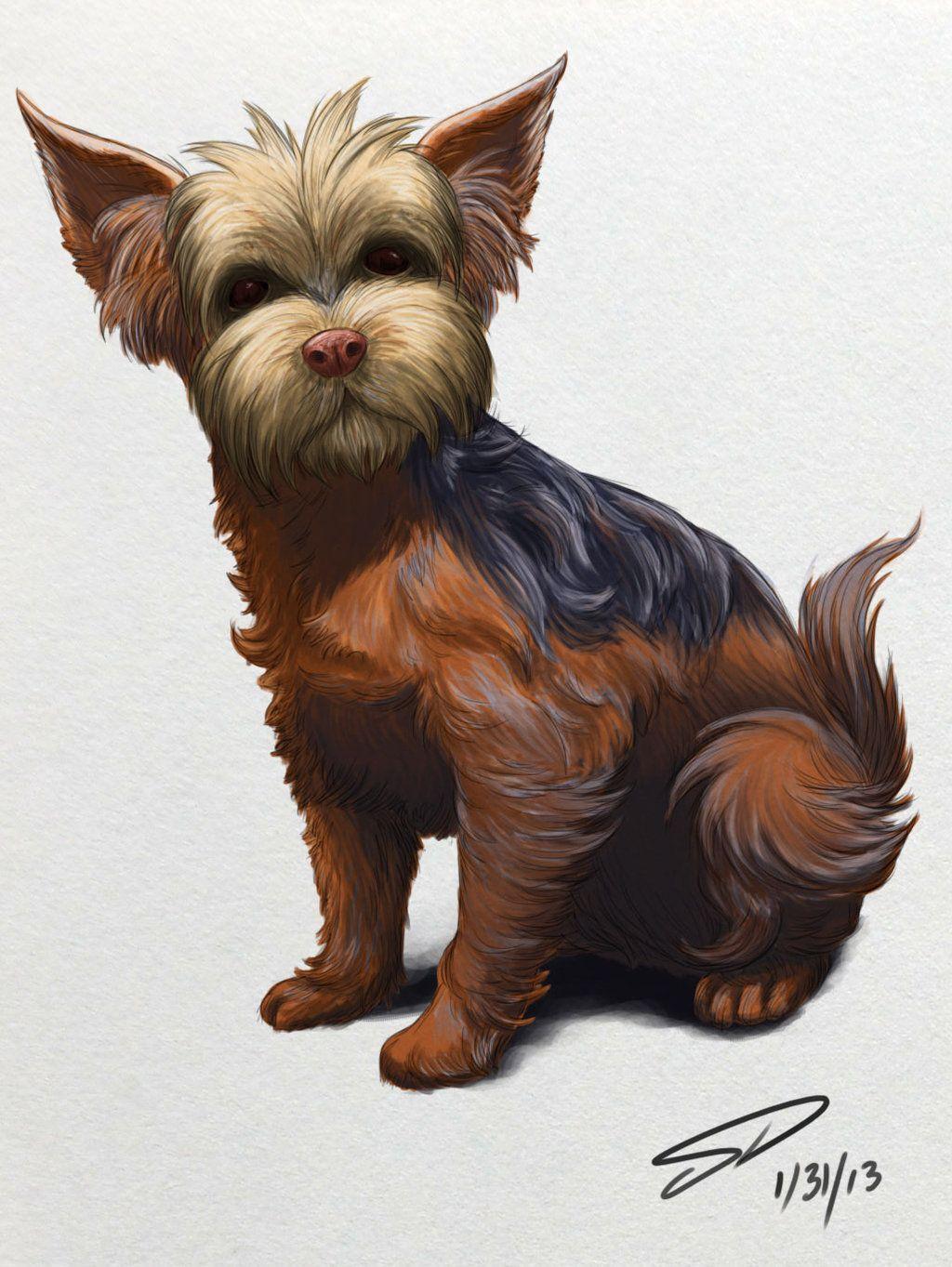 Lillipup Wallpapers - Top Free Lillipup Backgrounds - WallpaperAccess