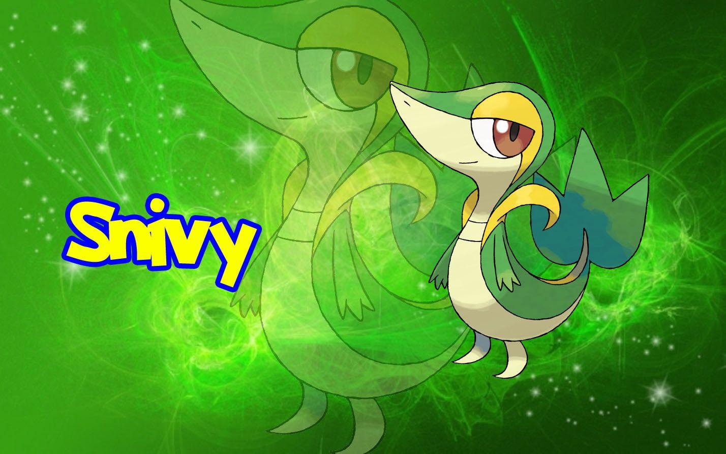 Lillipup Wallpapers - Top Free Lillipup Backgrounds - WallpaperAccess