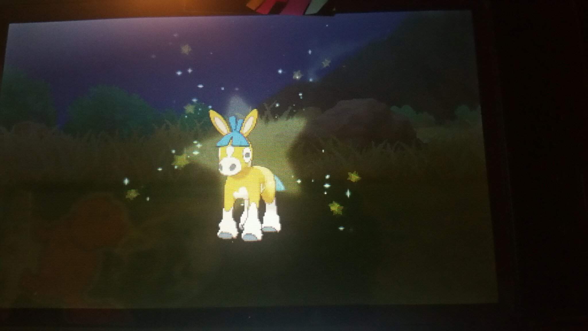 Lillipup Wallpapers - Top Free Lillipup Backgrounds - WallpaperAccess