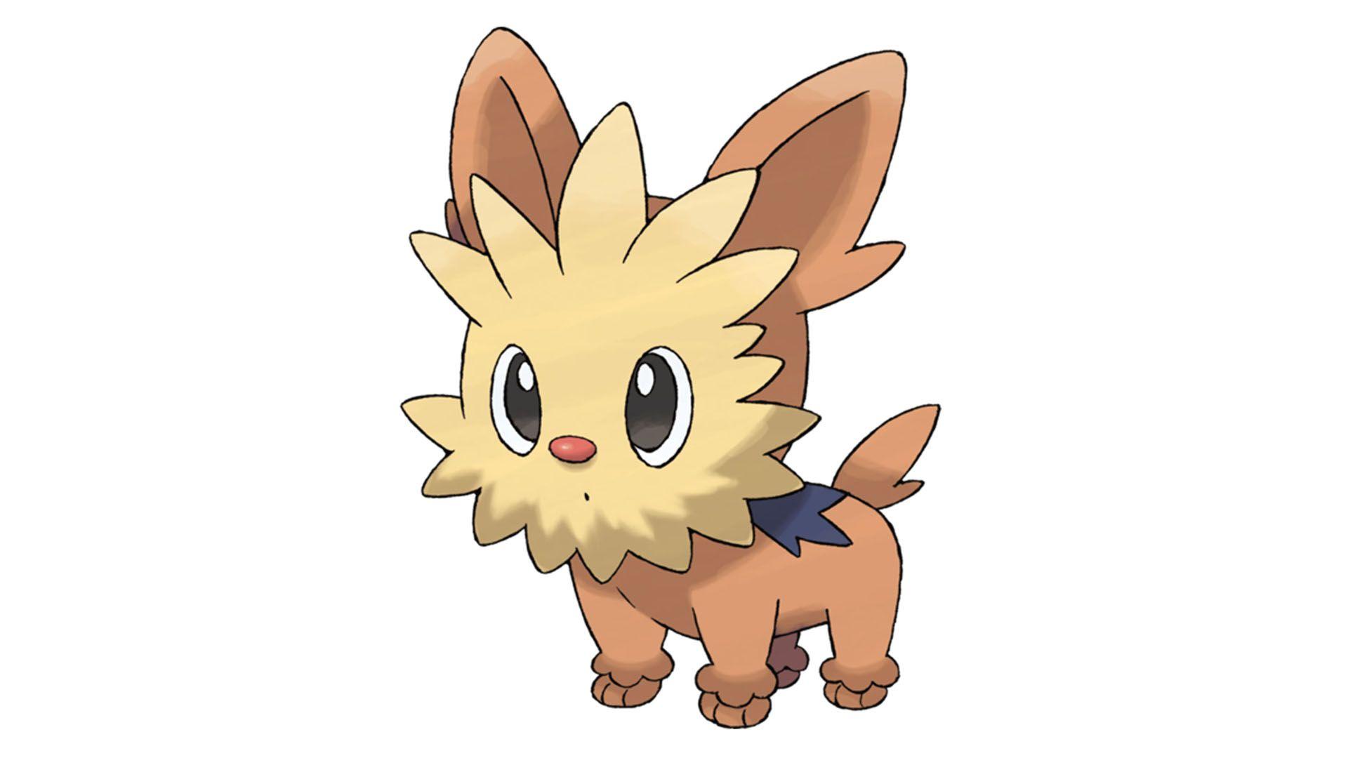 Lillipup Wallpapers - Top Free Lillipup Backgrounds - WallpaperAccess
