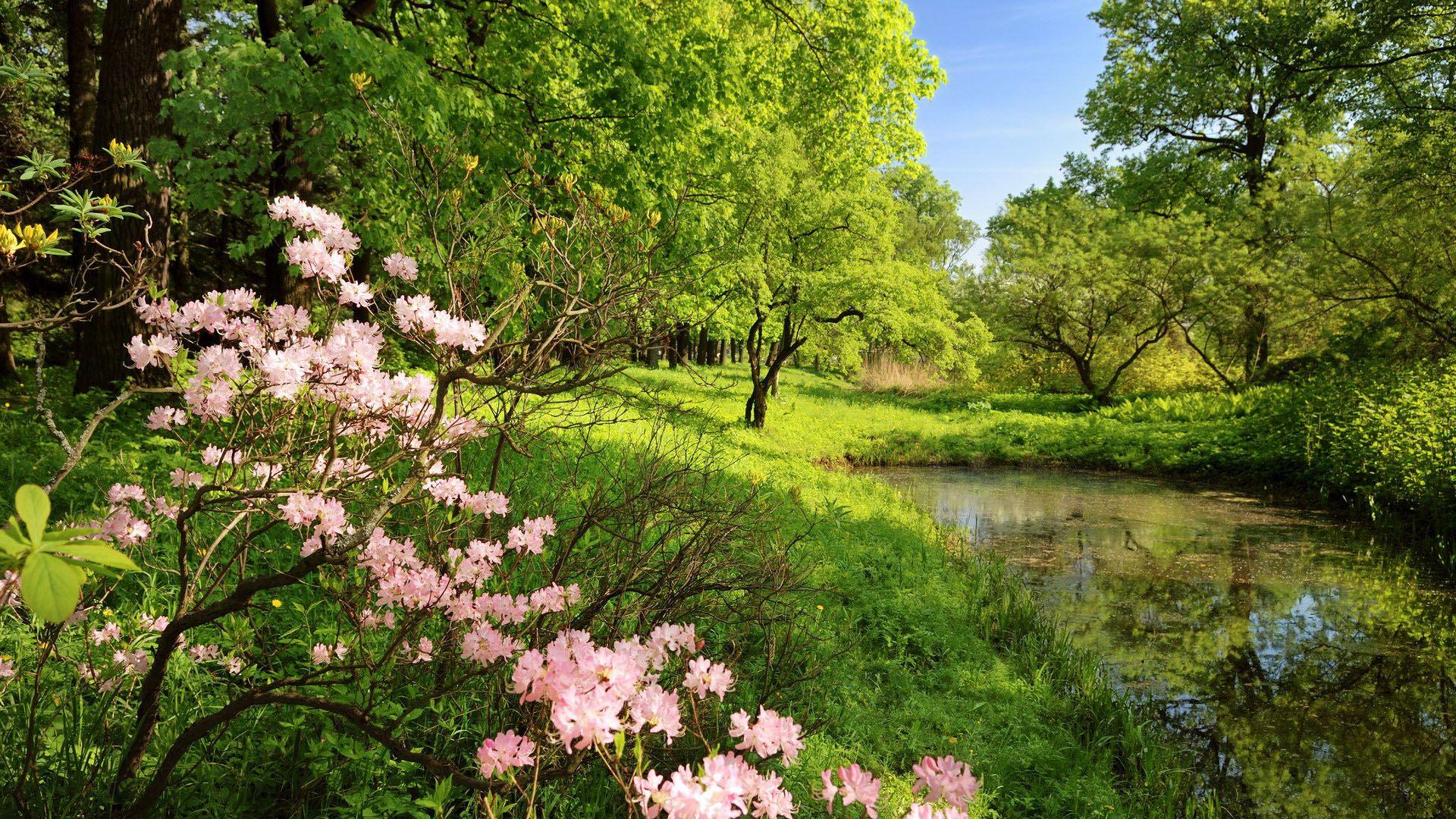 Nature Mac HD Wallpapers - Top Free Nature Mac HD Backgrounds ...