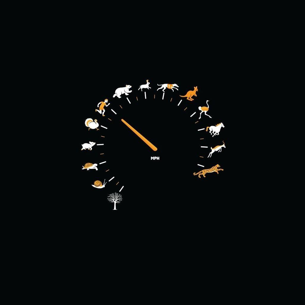 Funny iPad HD Wallpapers - Top Free Funny iPad HD Backgrounds ...