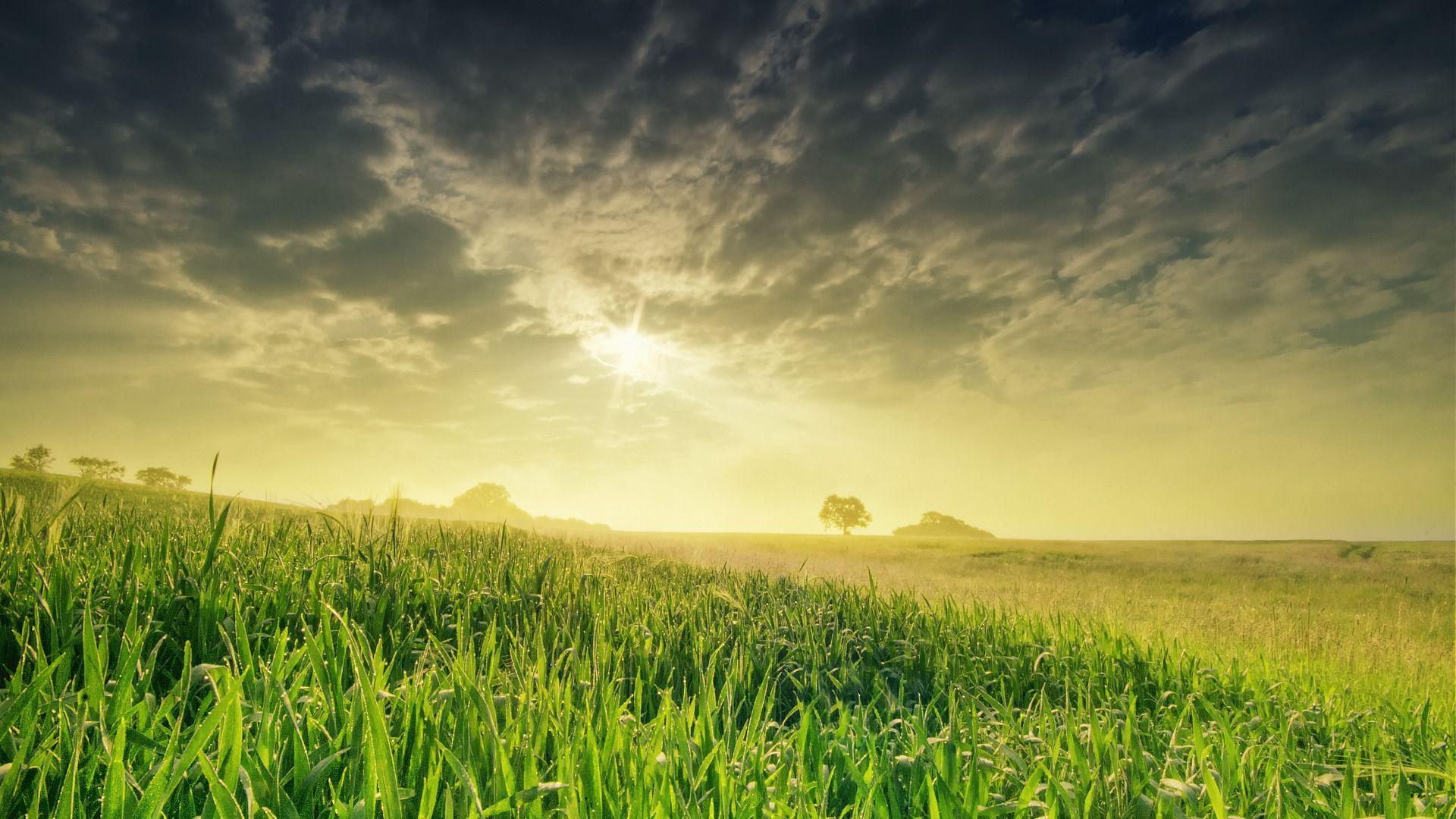 Green Sunrise Wallpapers - Top Free Green Sunrise Backgrounds ...