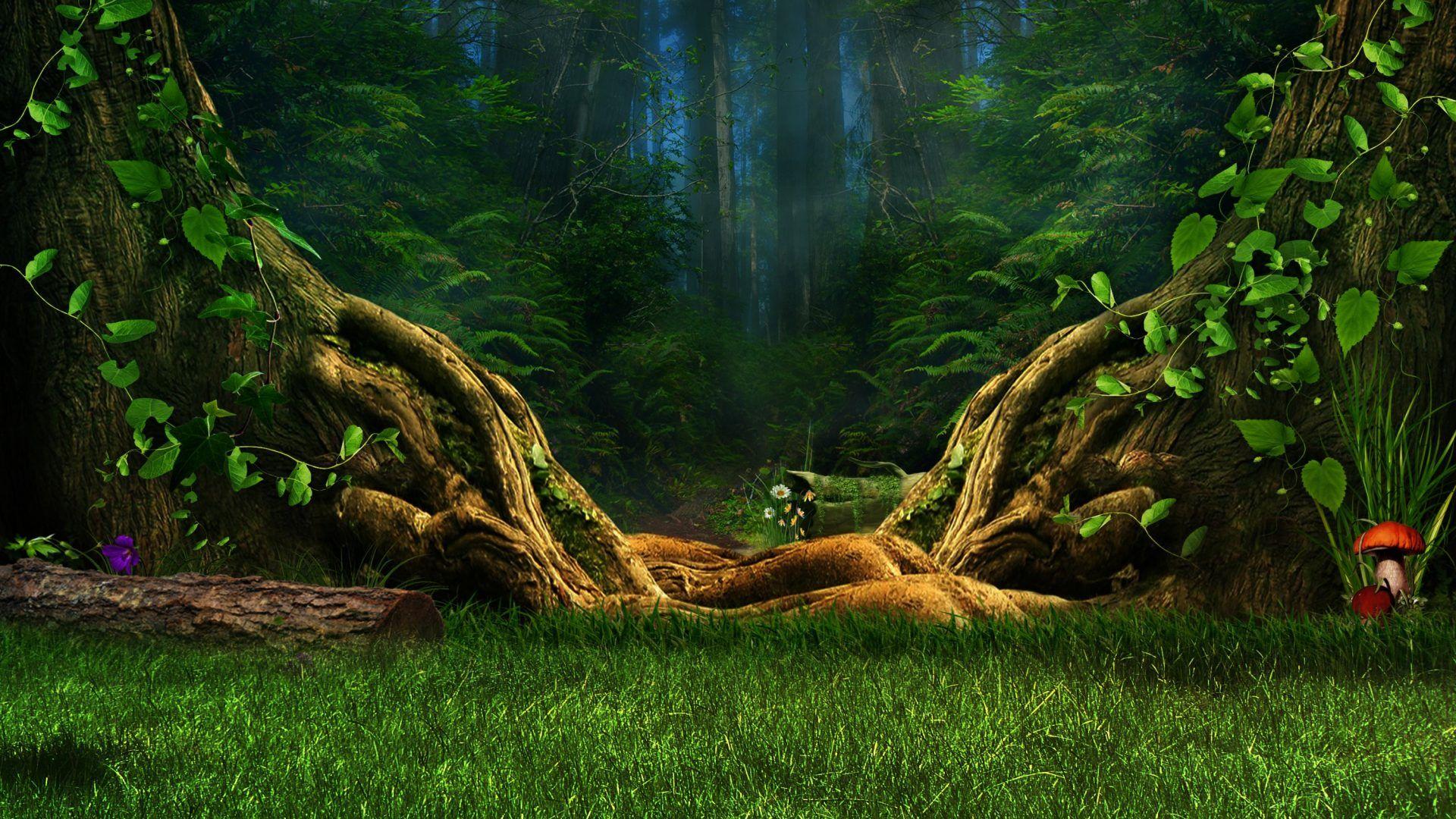 Green Sunrise Wallpapers - Top Free Green Sunrise Backgrounds ...