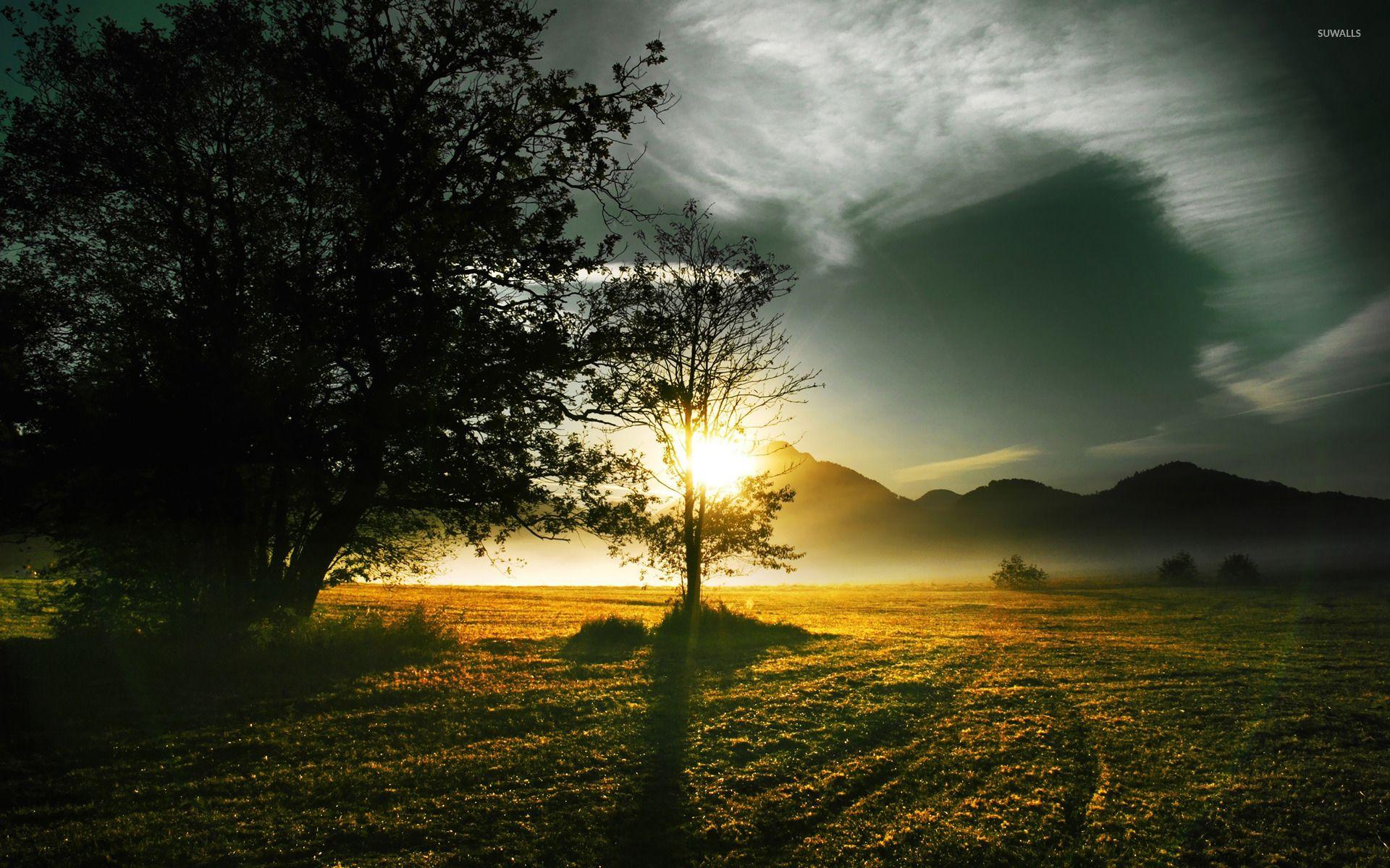 Green Sunrise Wallpapers - Top Free Green Sunrise Backgrounds ...