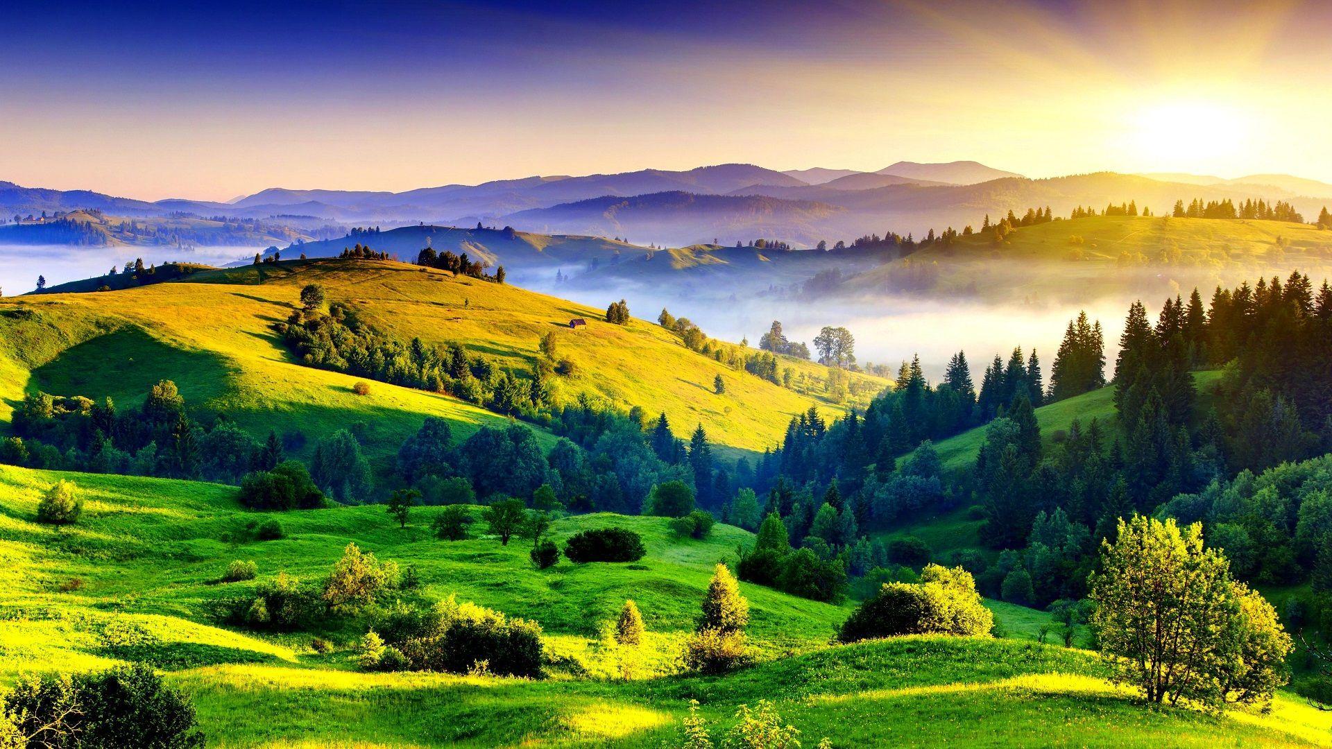 Green Sunrise Wallpapers - Top Free Green Sunrise Backgrounds ...