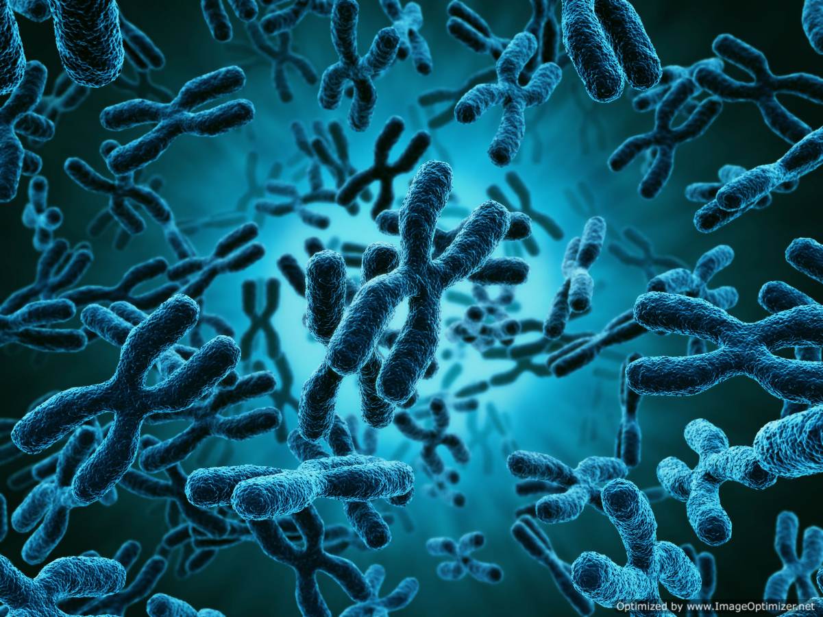 Biology HD Wallpapers - Top Free Biology HD Backgrounds - WallpaperAccess