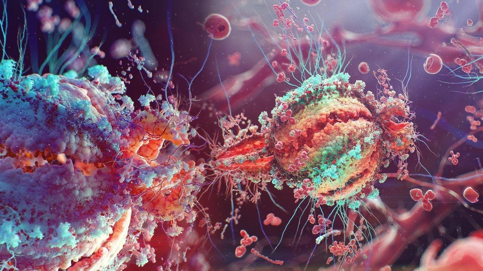 Biology HD Wallpapers - Top Free Biology HD Backgrounds - WallpaperAccess