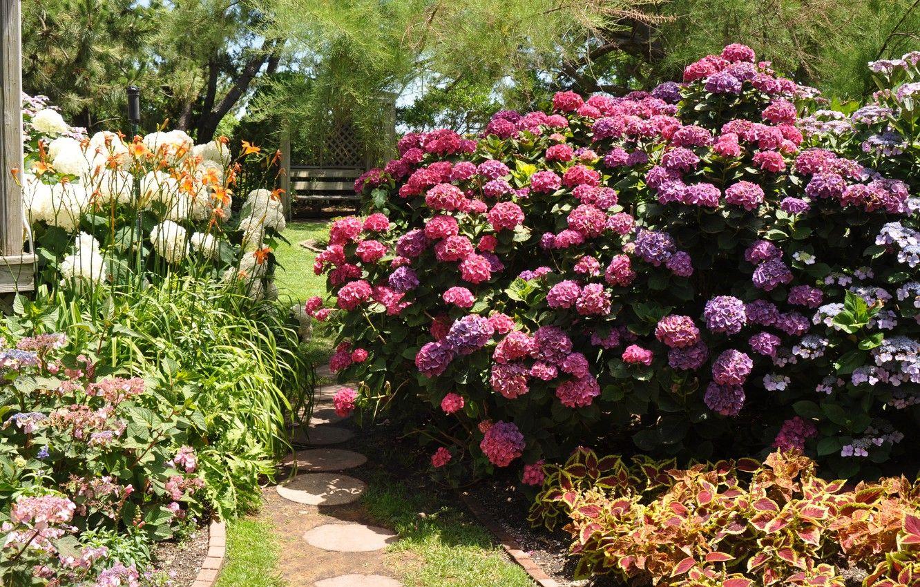 Spring Flower Garden Desktop Wallpapers - Top Free Spring Flower Garden ...