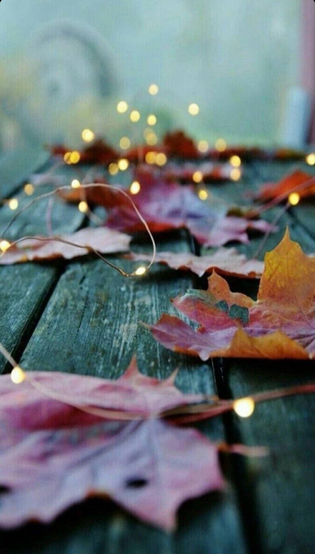 Beautiful Fall iPhone Wallpapers - Top Free Beautiful Fall iPhone ...
