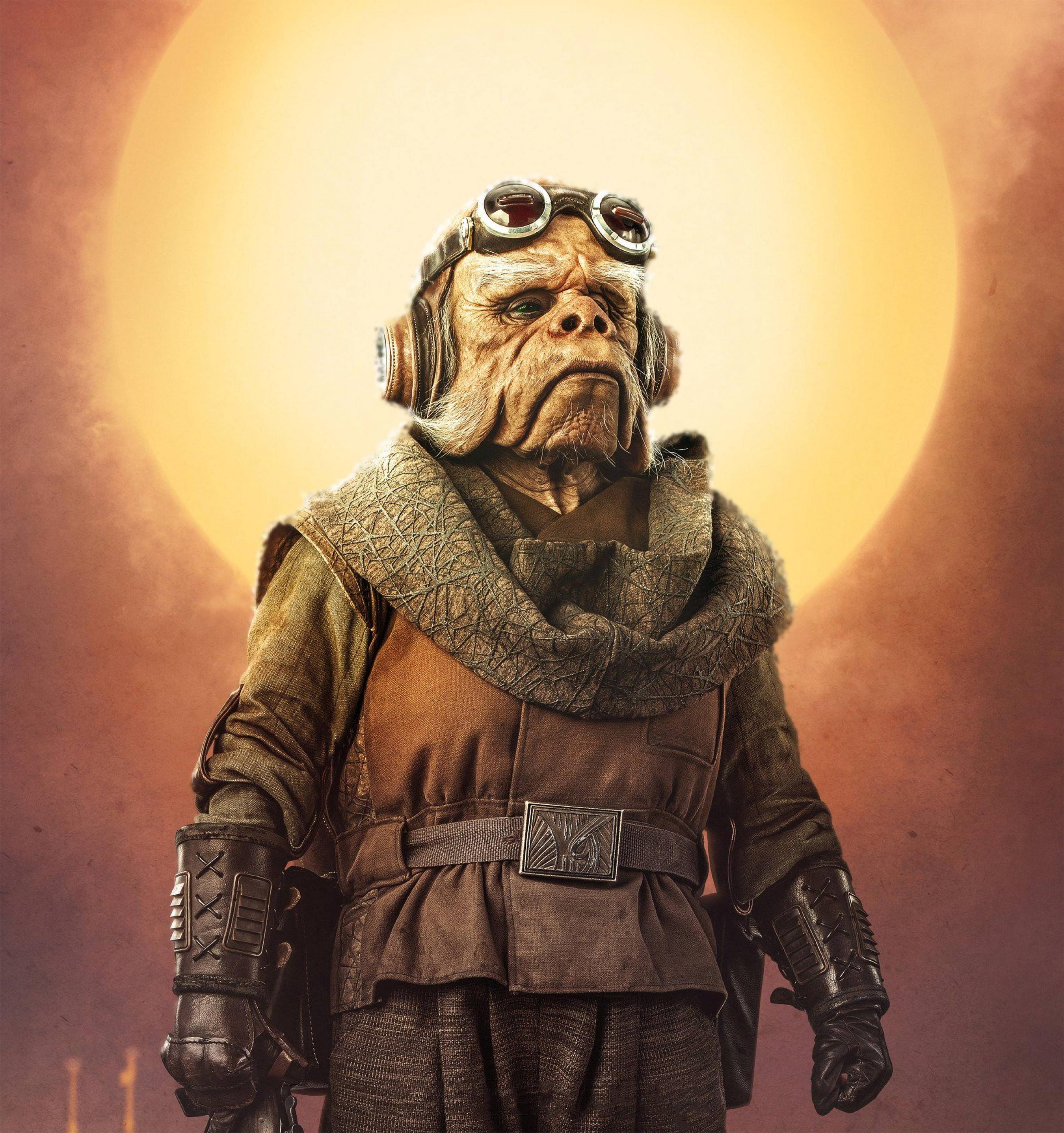 Star Wars Jawa Wallpapers - Top Free Star Wars Jawa Backgrounds ...