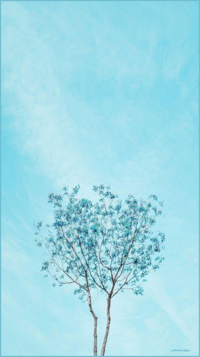 Outrageous Wallpapers - Top Free Outrageous Backgrounds - WallpaperAccess