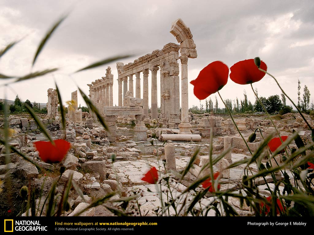 Lebanese Wallpapers - Top Free Lebanese Backgrounds - WallpaperAccess