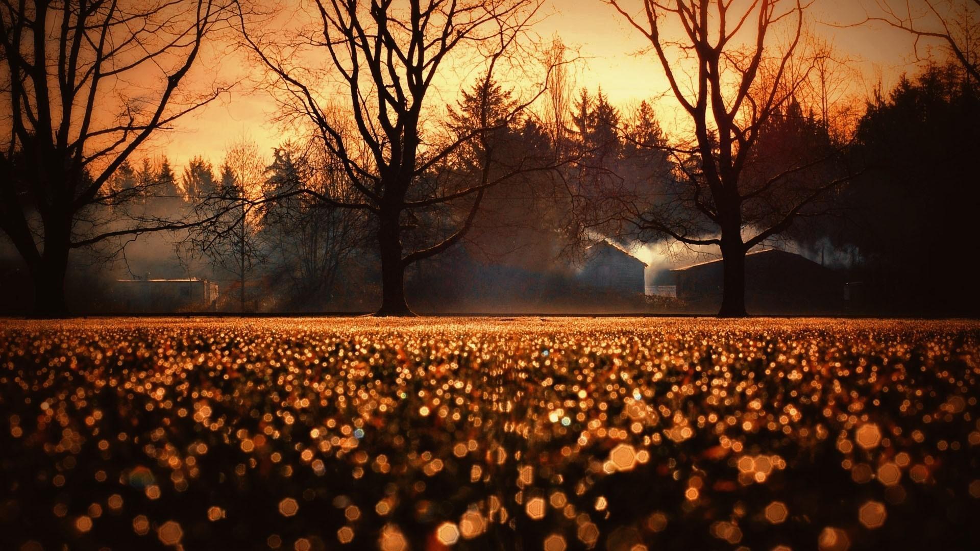 Fall Aesthetic Tumblr Desktop Wallpapers - Top Free Fall Aesthetic ...