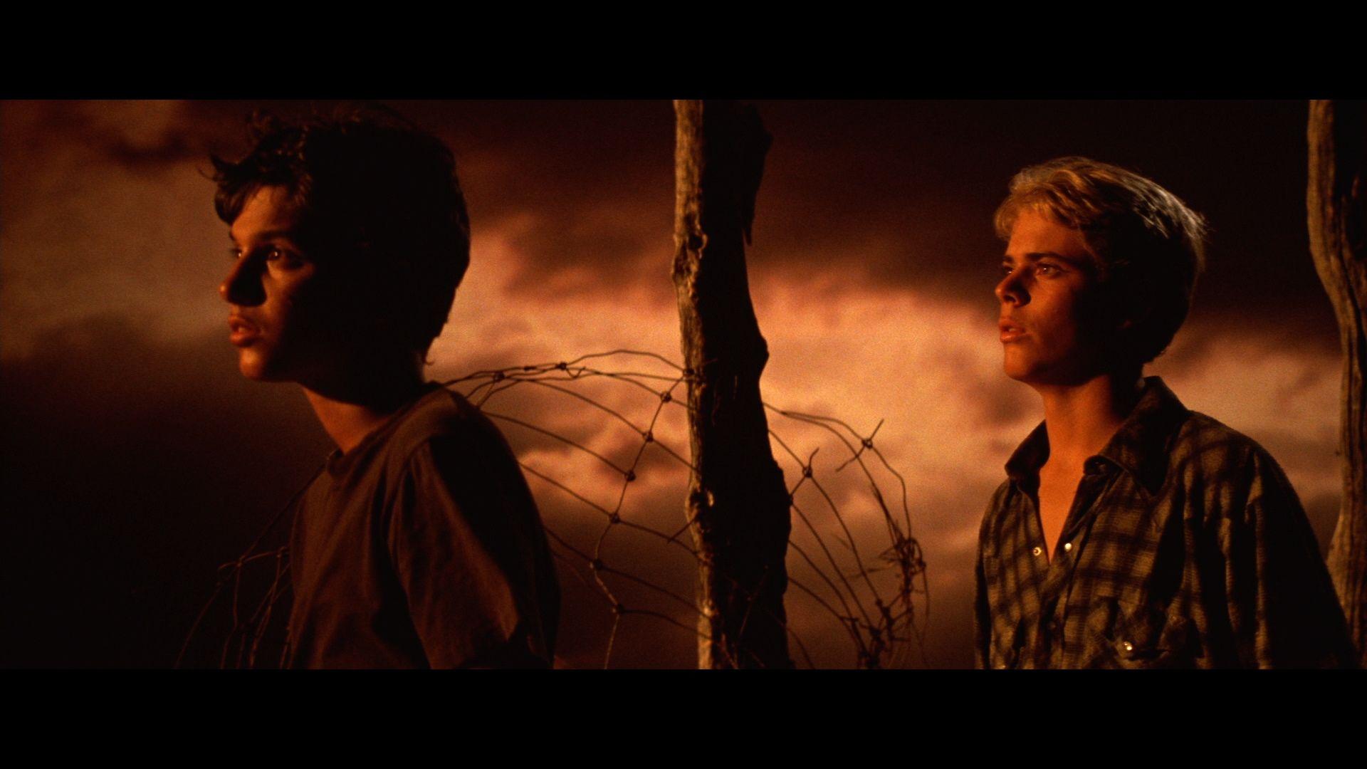 Ponyboy Wallpapers - Top Free Ponyboy Backgrounds - WallpaperAccess