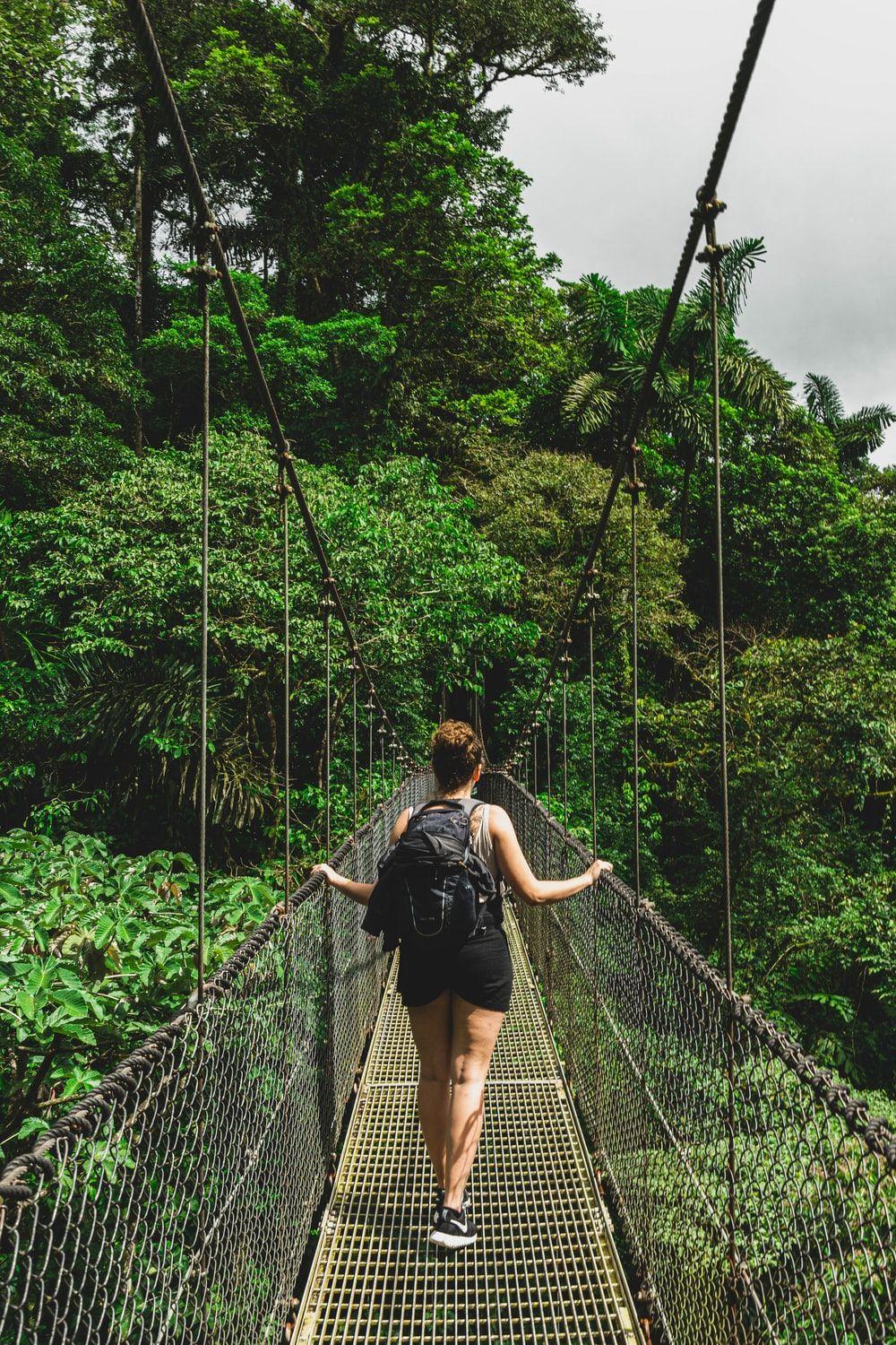 Jungle Bridge Wallpapers Top Free Jungle Bridge Backgrounds Wallpaperaccess