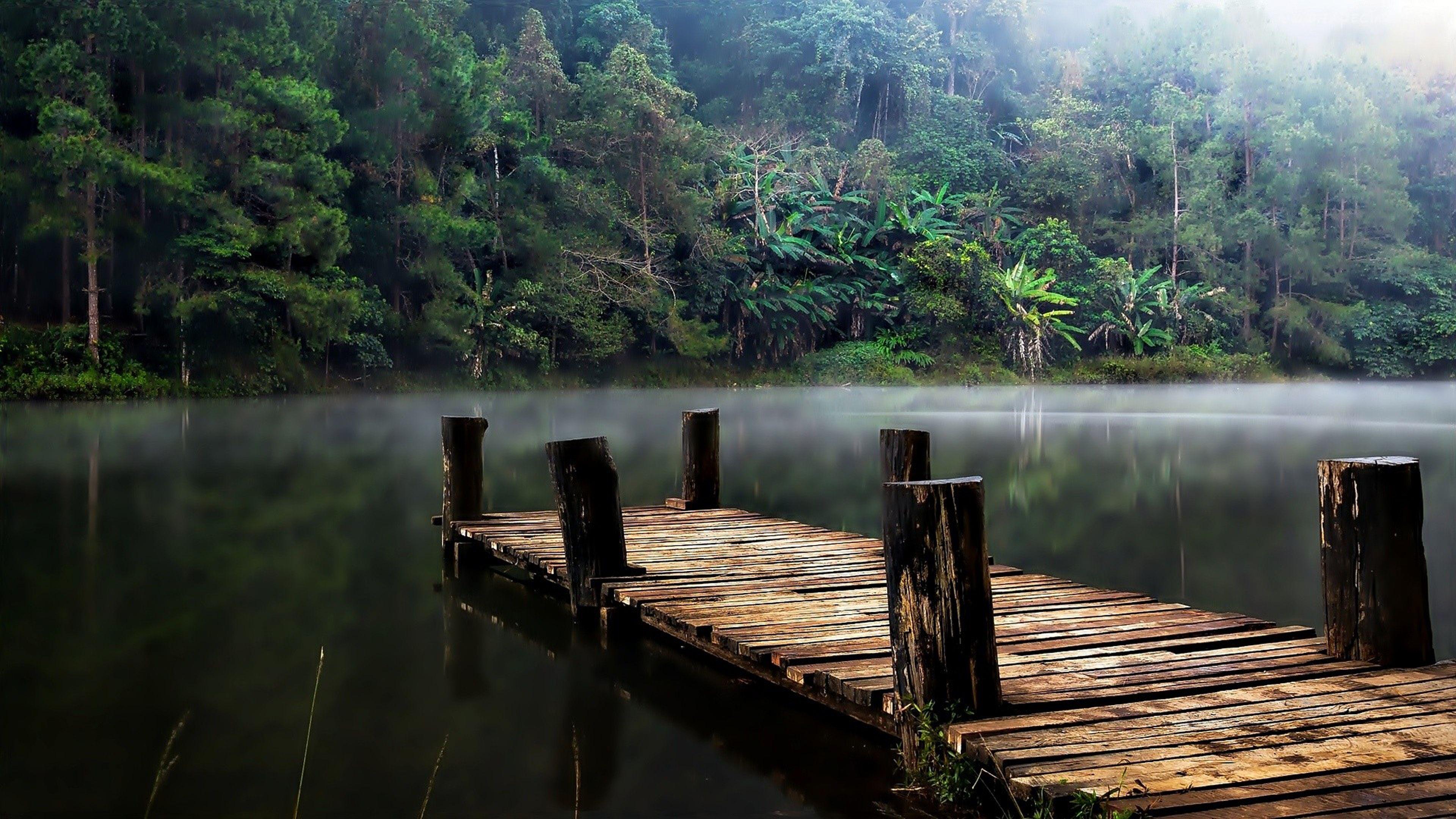 Jungle Bridge Wallpapers - Top Free Jungle Bridge Backgrounds ...