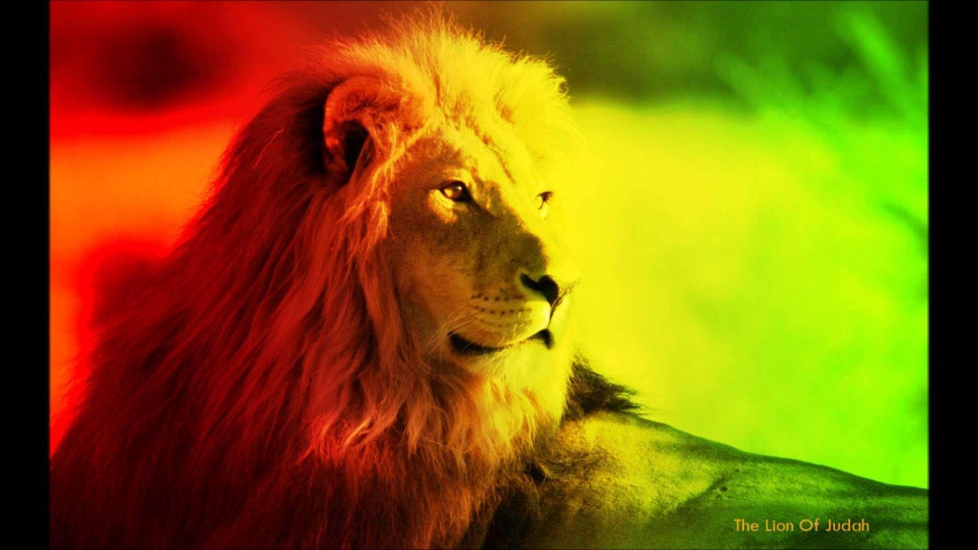 Reggae Lion Wallpapers - Top Free Reggae Lion Backgrounds - WallpaperAccess