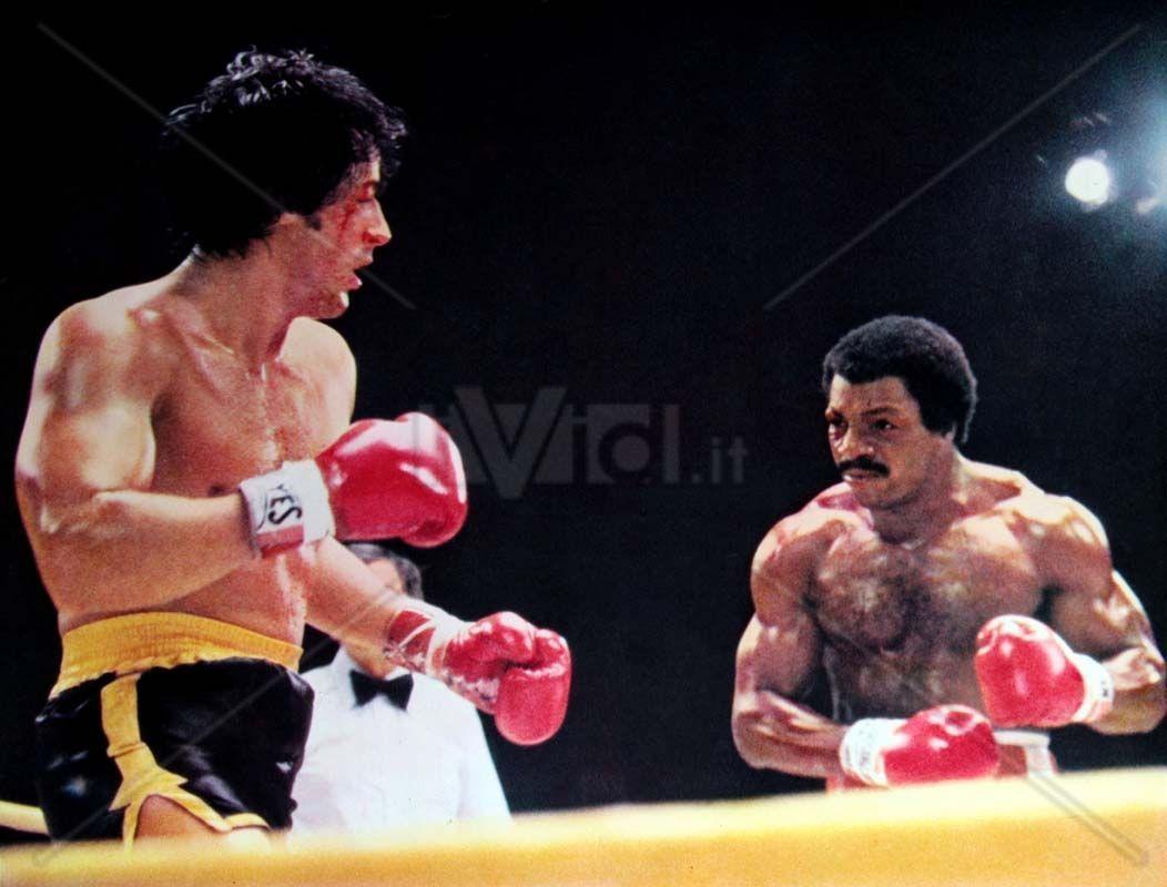 Rocky 2 Wallpapers - Top Free Rocky 2 Backgrounds - WallpaperAccess