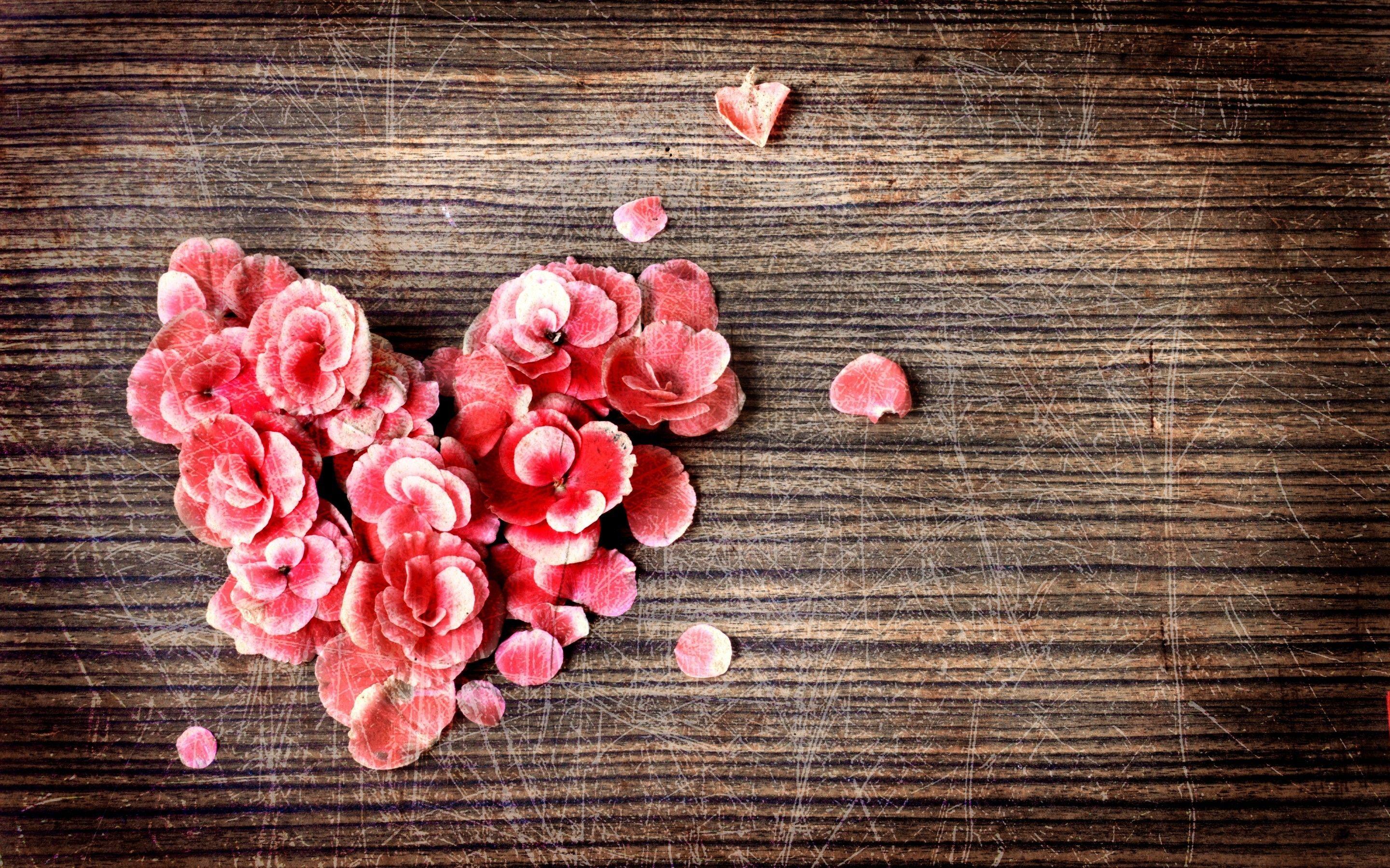 Rose Petals Wallpapers - Top Free Rose Petals Backgrounds - WallpaperAccess