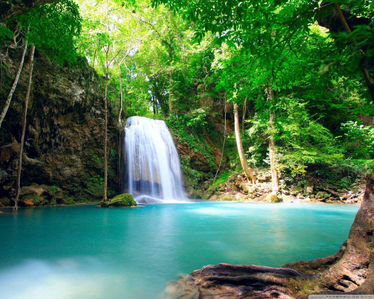 Forest Beach Wallpapers - Top Free Forest Beach Backgrounds ...