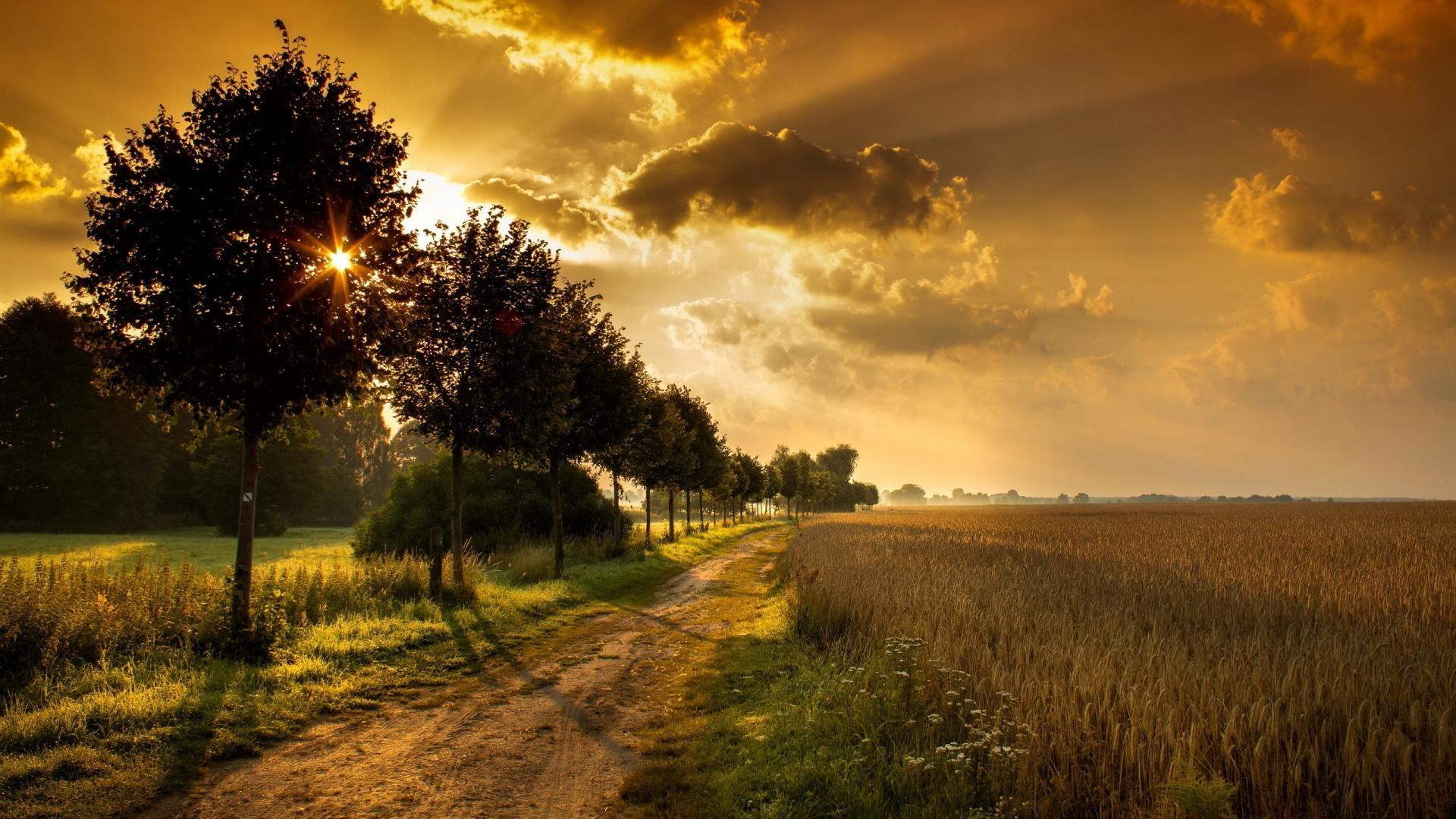 Sad Nature Wallpapers - Top Free Sad Nature Backgrounds - WallpaperAccess