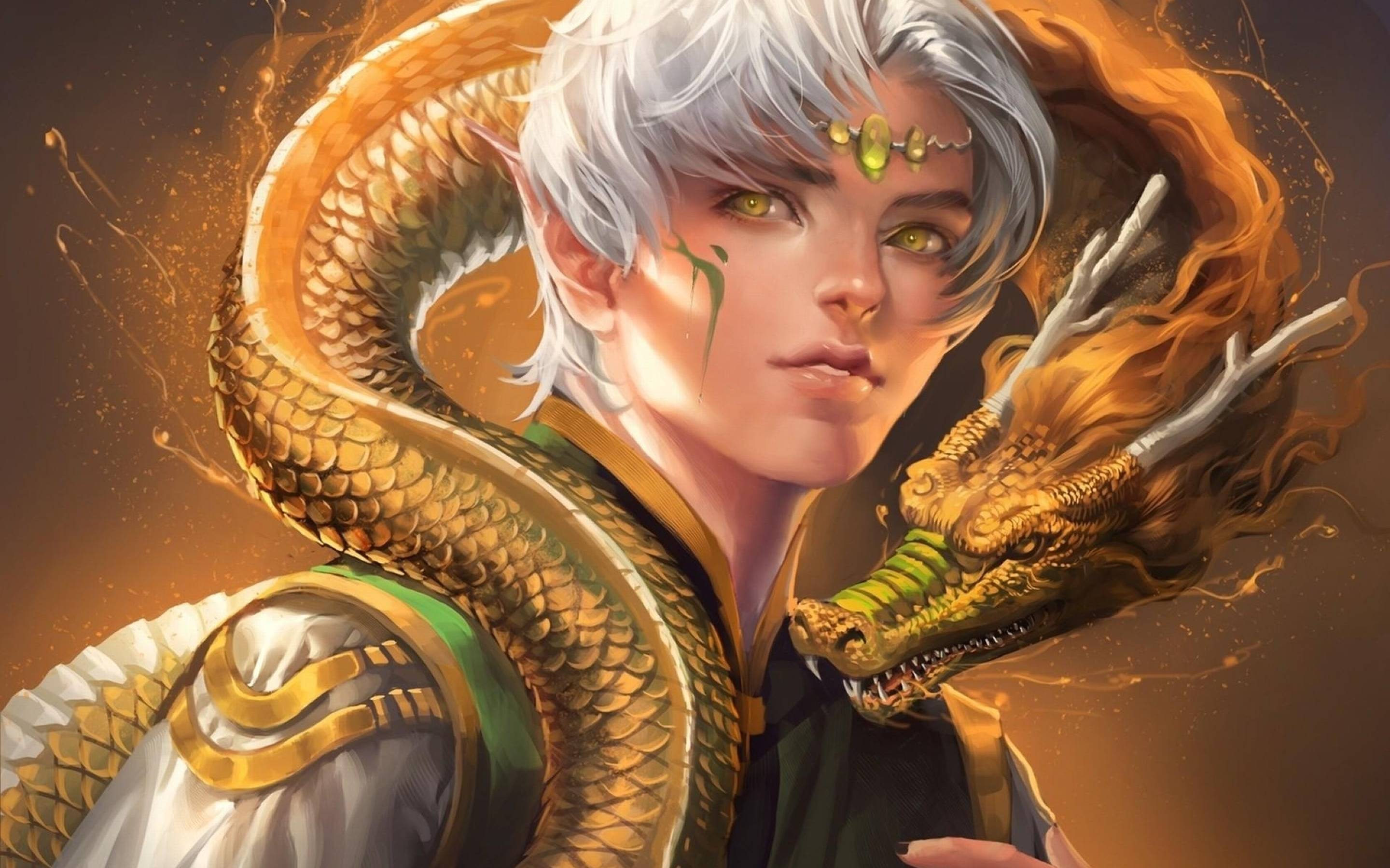 Elf and Dragon Wallpapers - Top Free Elf and Dragon Backgrounds ...