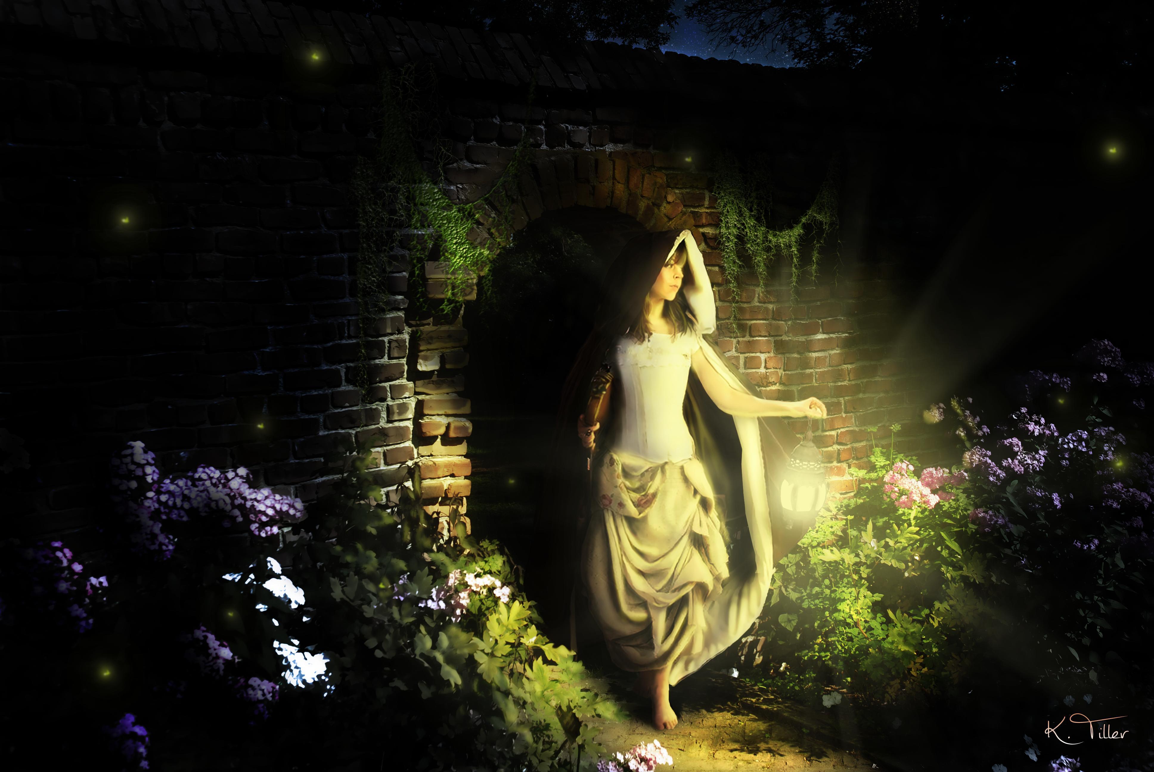 Night Garden Wallpapers - Top Free Night Garden Backgrounds ...