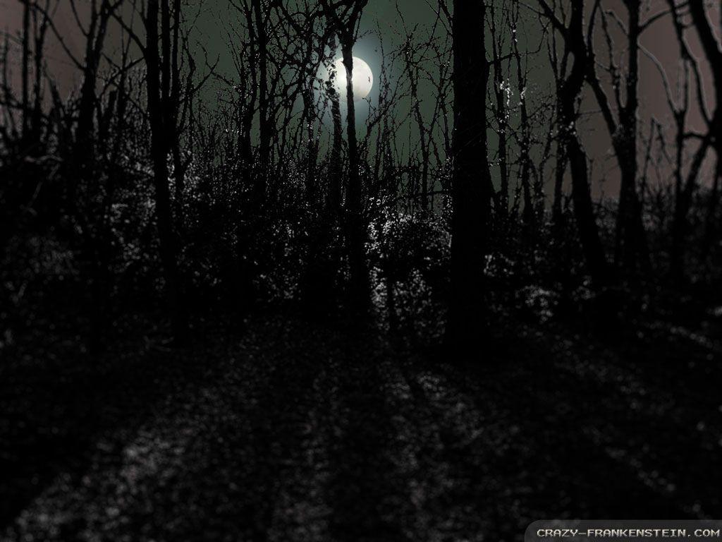 Night Time Forest Wallpapers - Top Free Night Time Forest Backgrounds ...