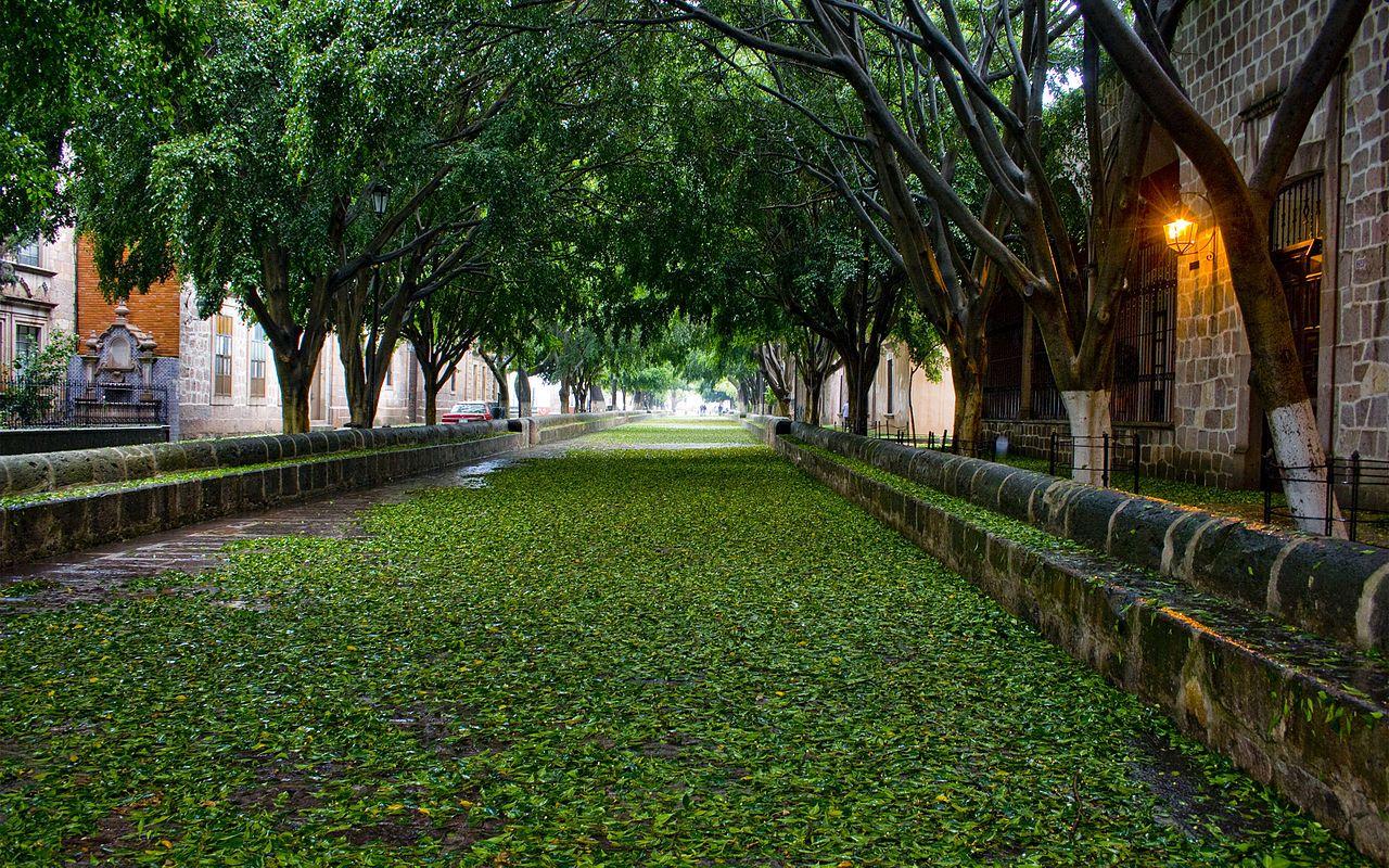 Michoacan Wallpapers - Top Free Michoacan Backgrounds - WallpaperAccess