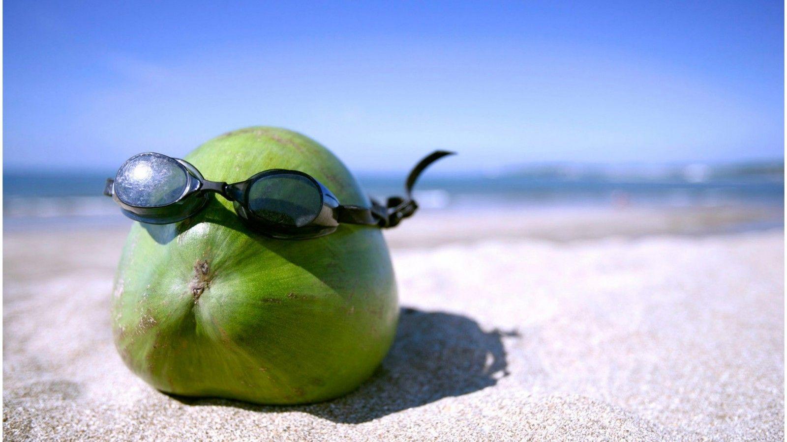 Funny Summer Wallpapers - Top Free Funny Summer Backgrounds ...