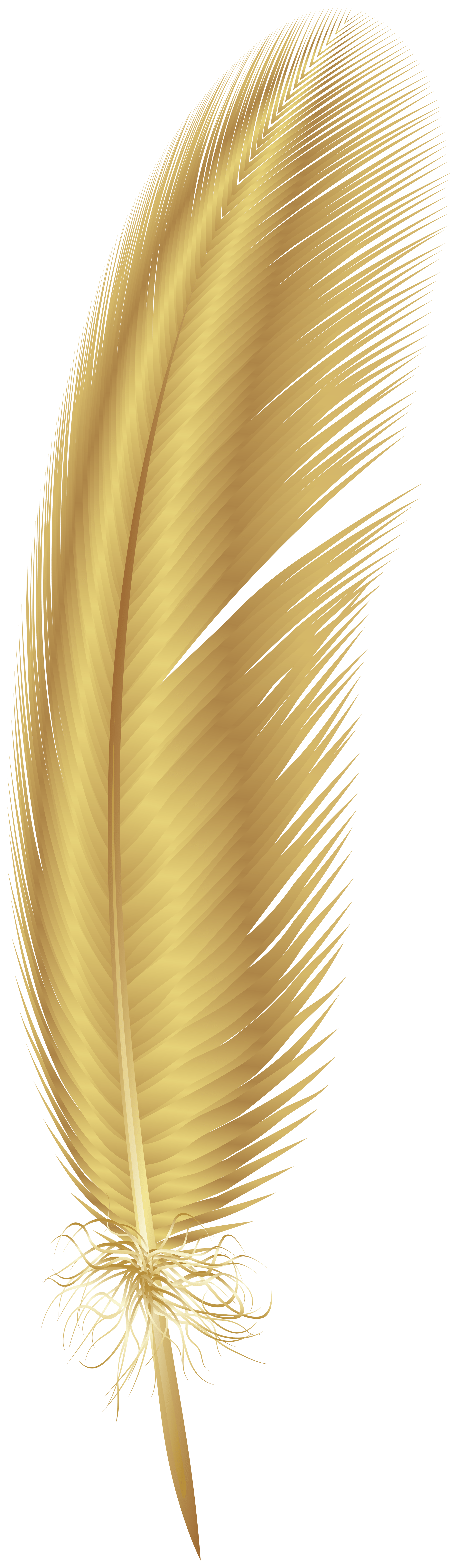 Gold Feather Wallpapers - Top Free Gold Feather Backgrounds ...