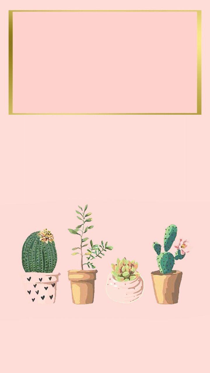 Cool Cactus Wallpapers - Top Free Cool Cactus Backgrounds - WallpaperAccess