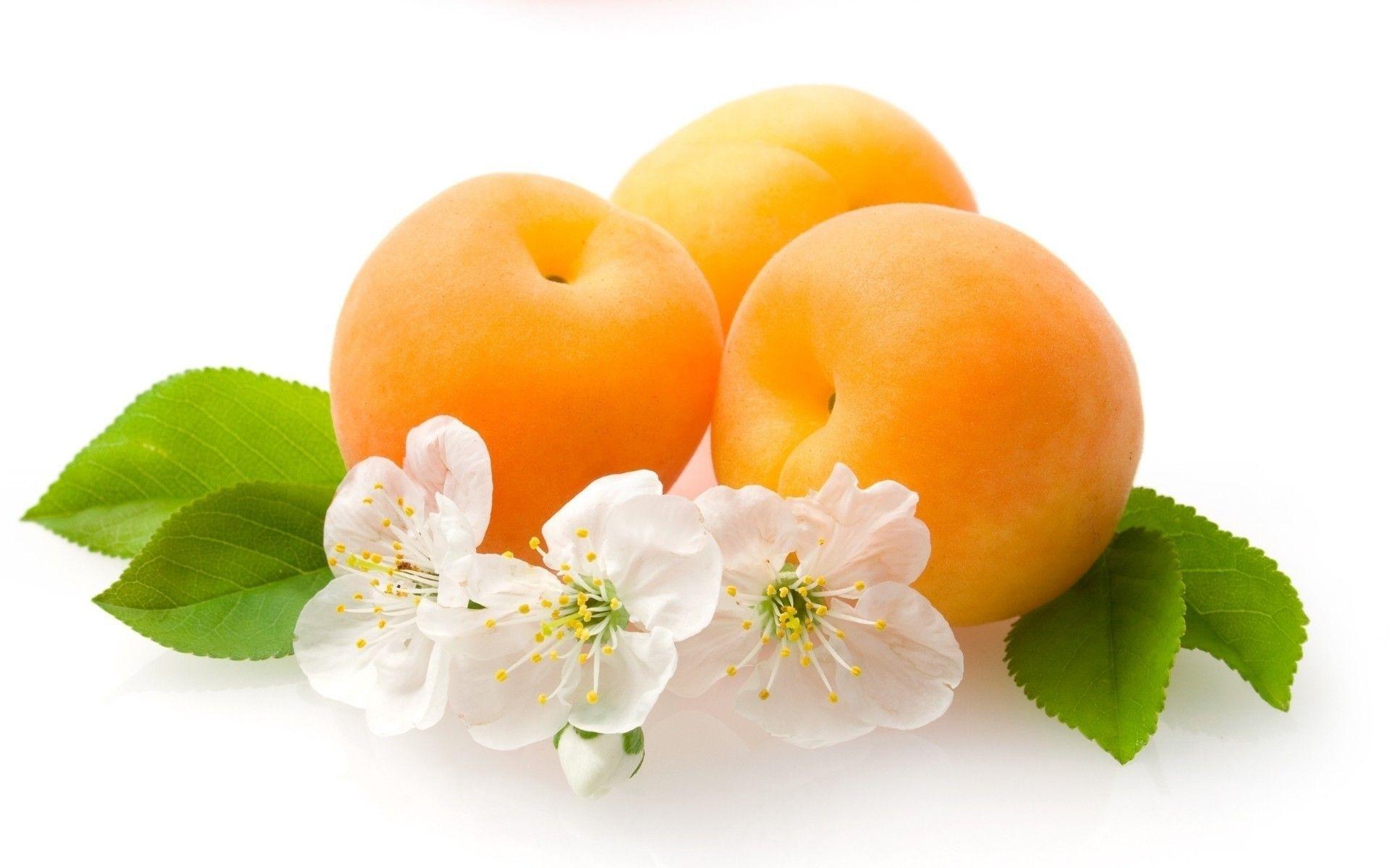 Peach and White Flower Wallpapers - Top Free Peach and White Flower ...