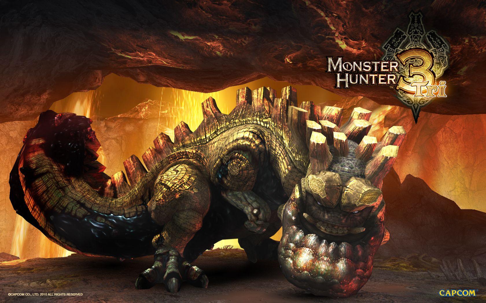Monster Hunter Tri Wallpapers - Top Free Monster Hunter Tri Backgrounds ...